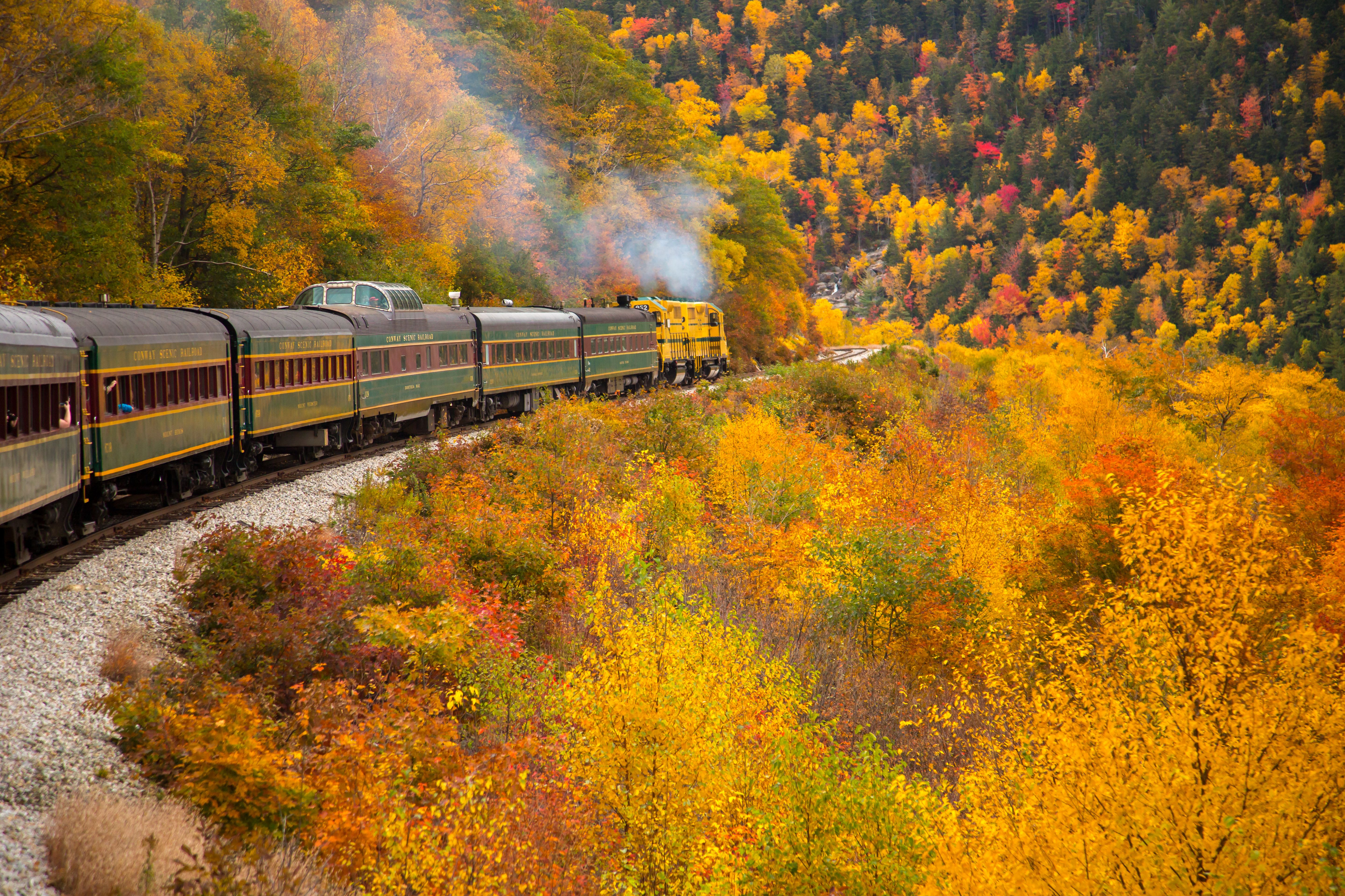 Skip Amtrak: This Is New York's Most Scenic Fall Train Ride In 2024