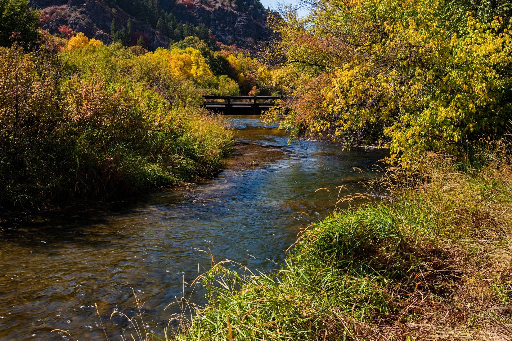 Skip Zion: 7 Underrated Utah State Parks For Fall Foliage In 2024