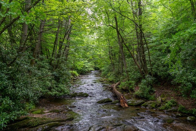 The Best Blue Ridge Mountain Towns In Tennessee For Fall Foliage