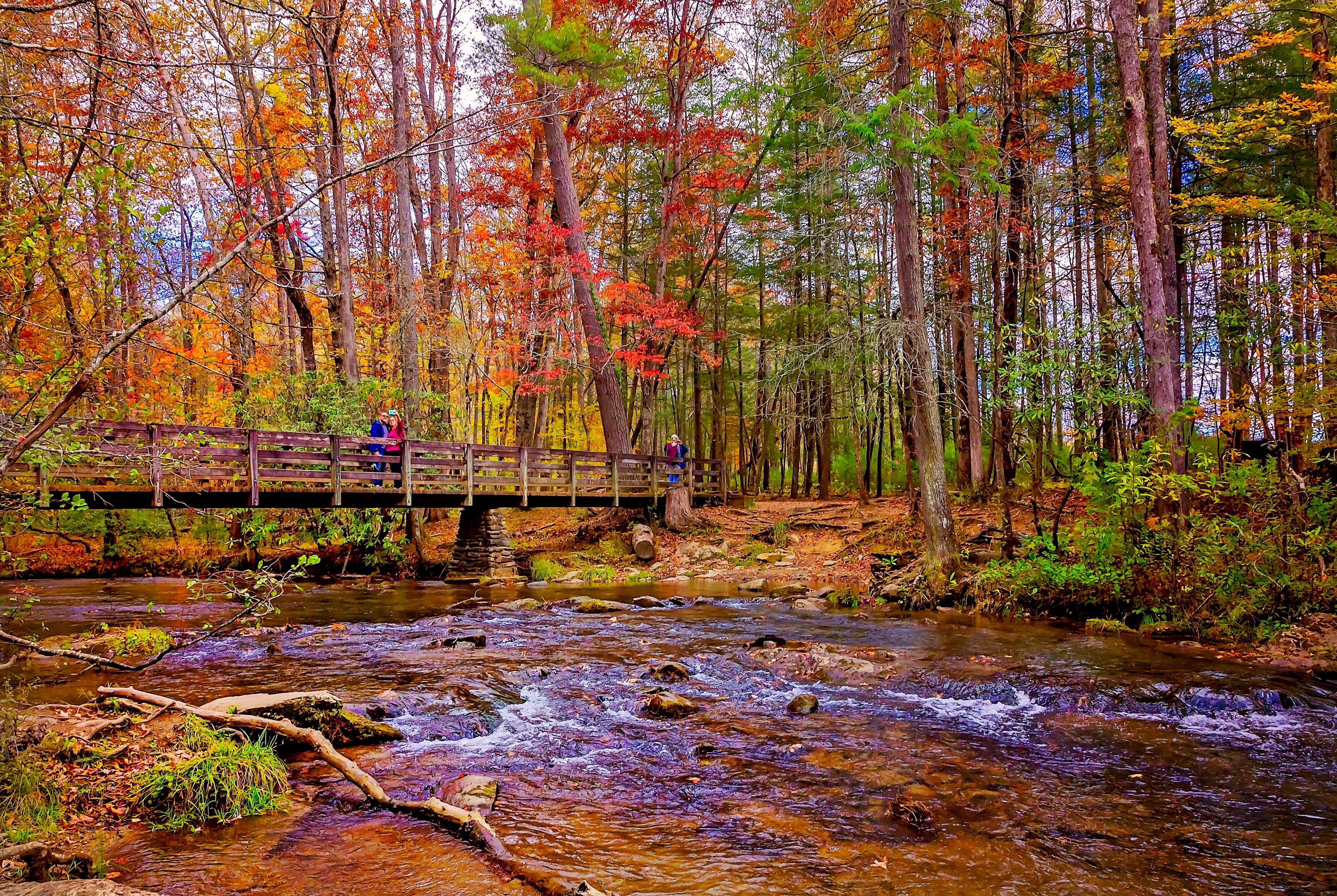 8 Towns In Tennessee With Pigeon Forge Vibes, But Better