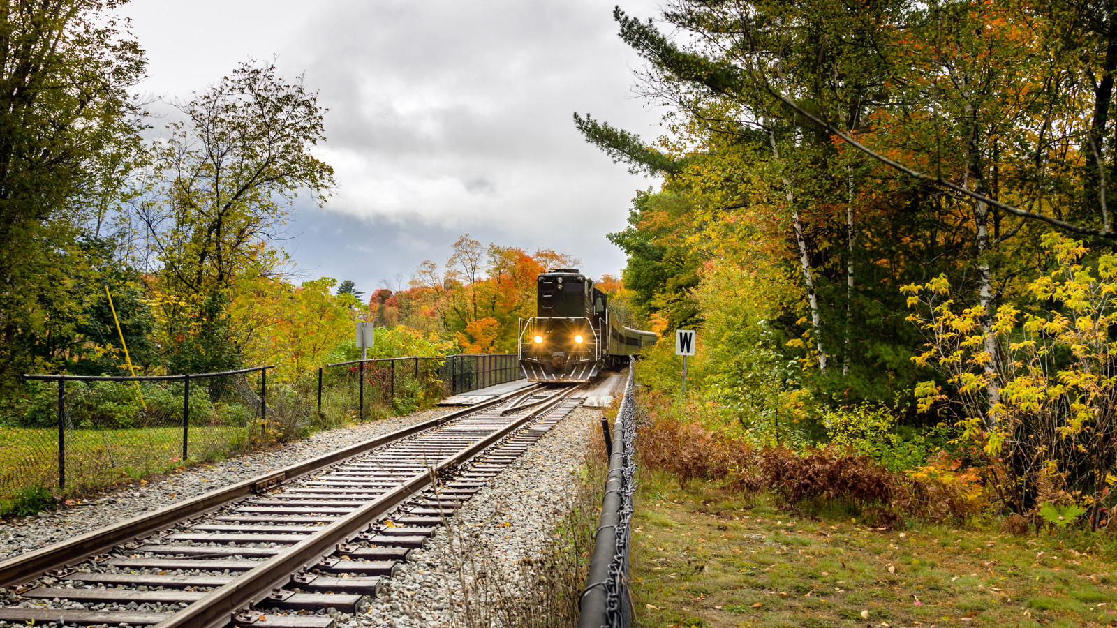 Skip Amtrak: This Is New York's Most Scenic Fall Train Ride In 2024