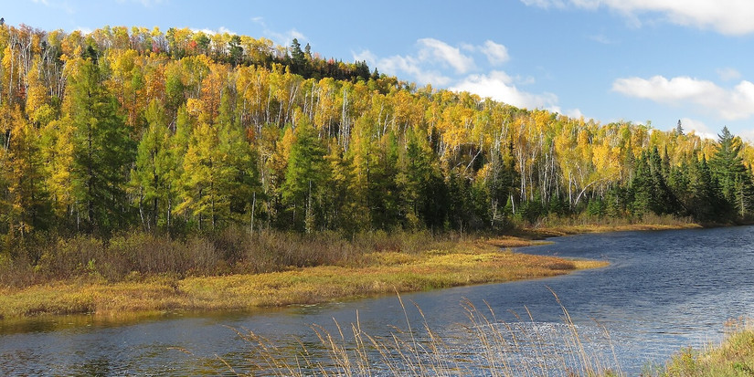 8 National Forests That Rival Zion National Park