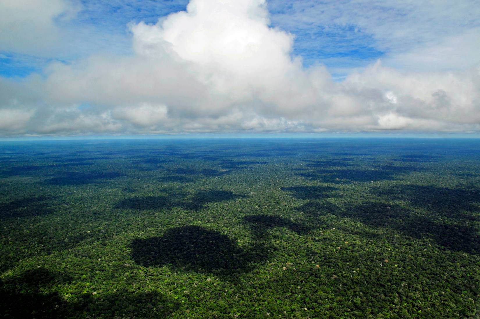 Thousands Of "Stonehenges" Have Been Found In The Amazon Rainforest
