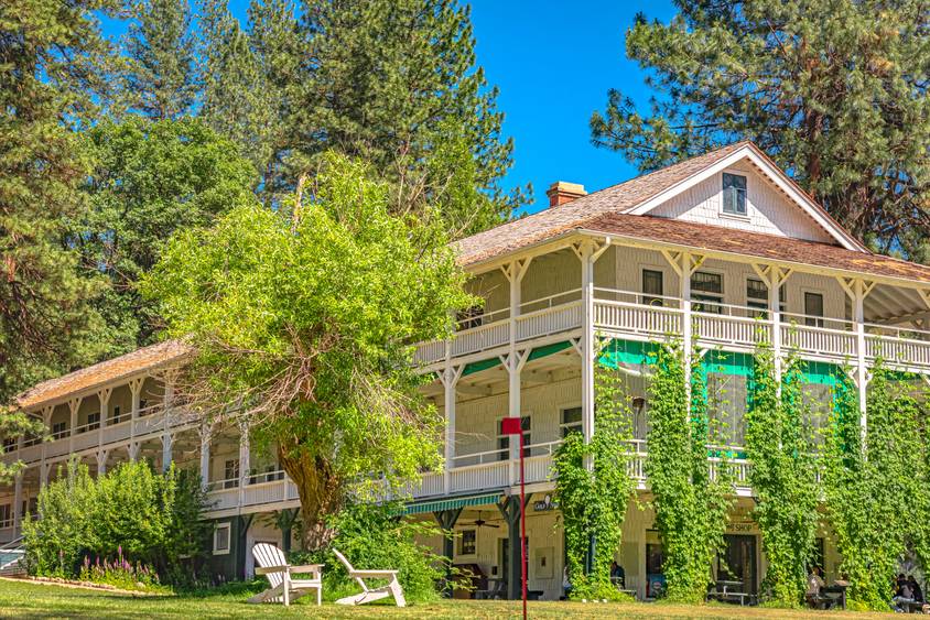 Yosemite National Park Is Home To The World’s Largest Pine Tree