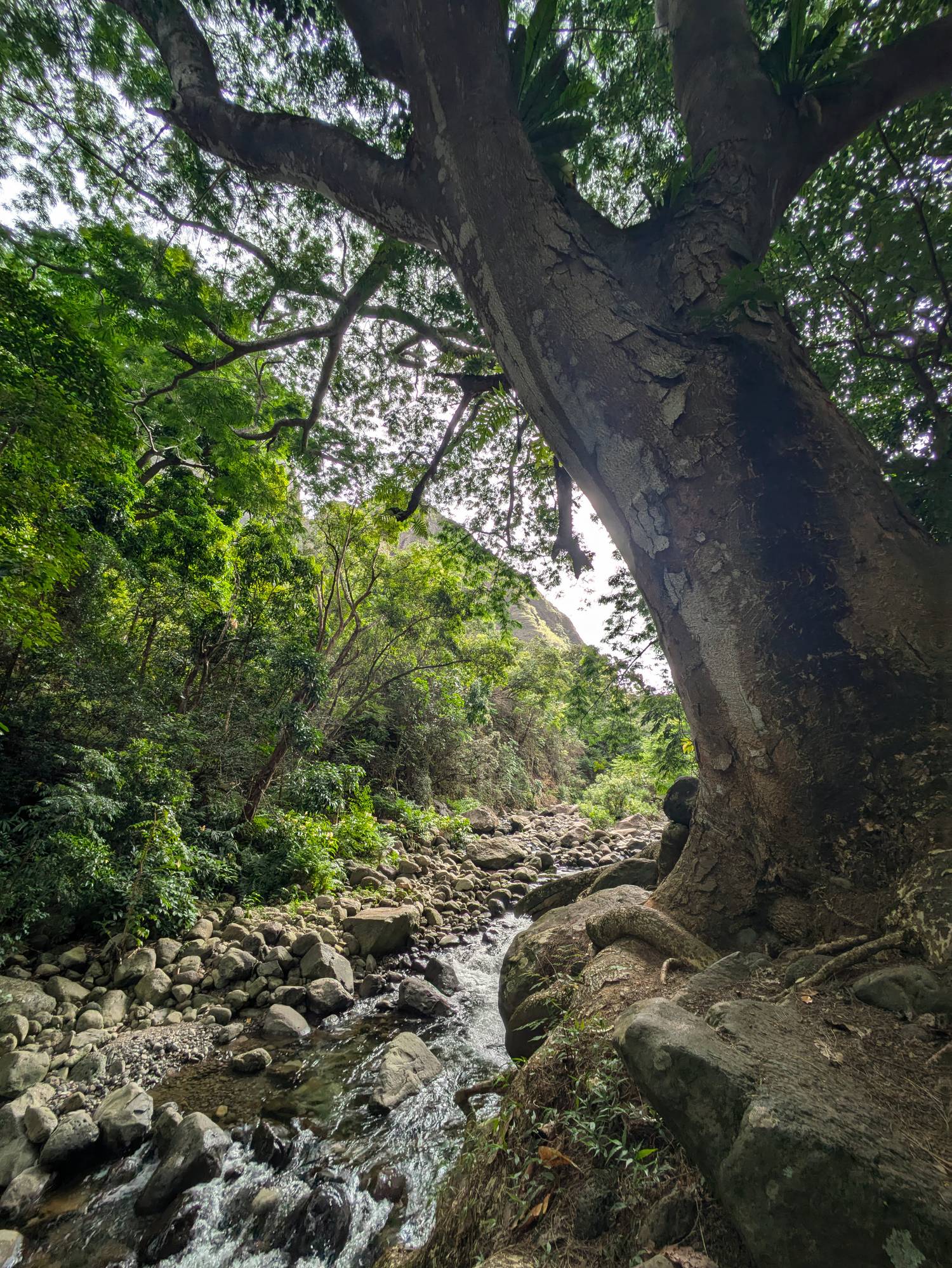 Majestic Maui: My Day-Trip To Īao Valley And Haleakalā National Park