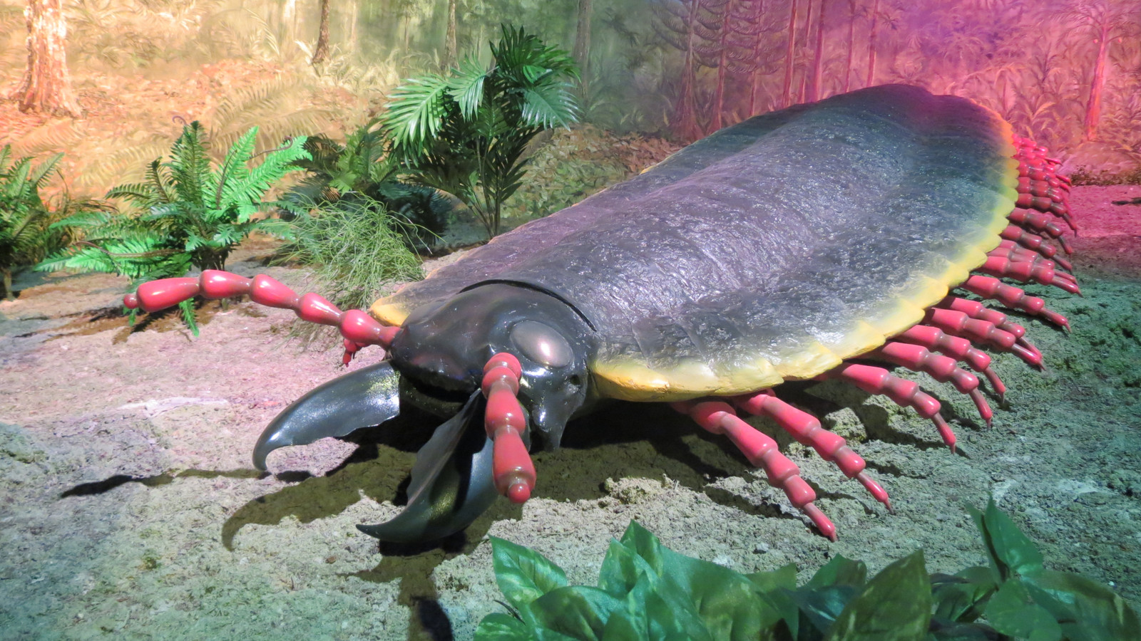 largest prehistoric insect