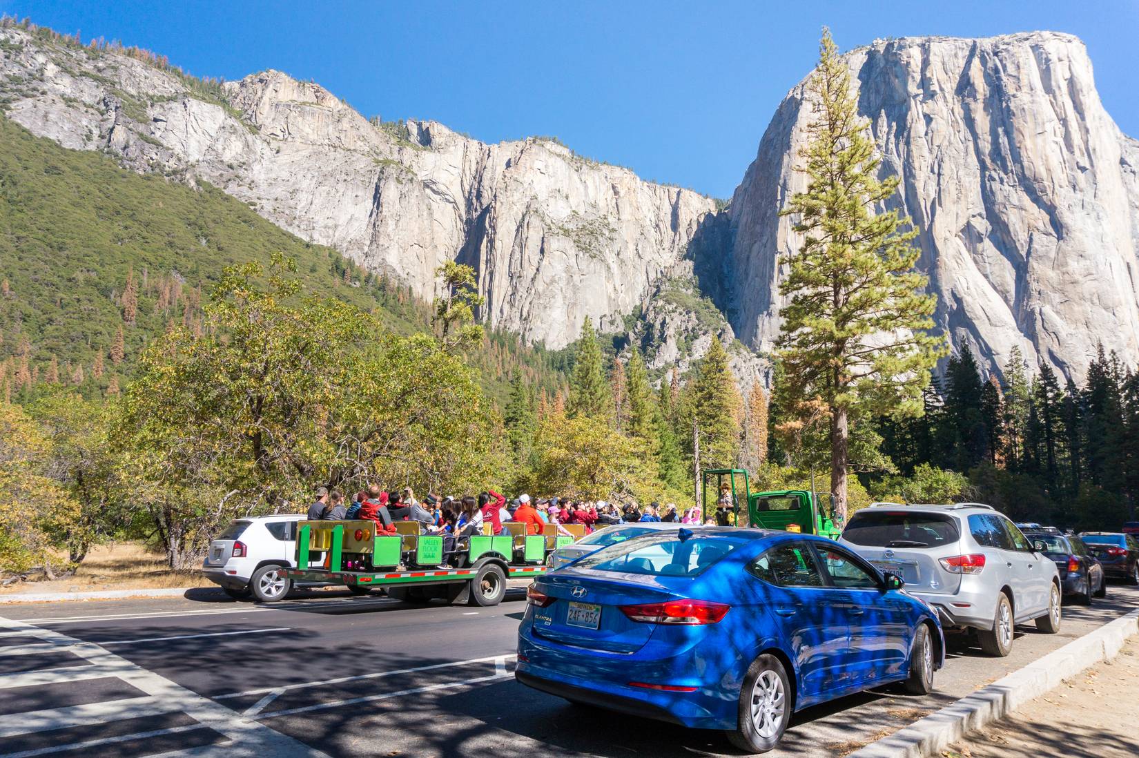 U.S. National Park Visitors May Suffer The Consequences As Trump Pulls ...