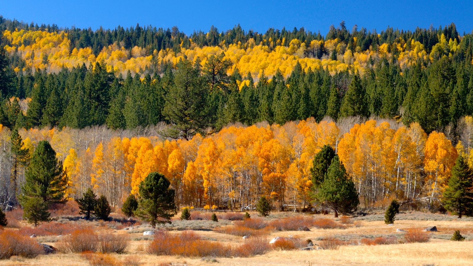7 Off-The-Beaten-Path Places For Fall Foliage In California