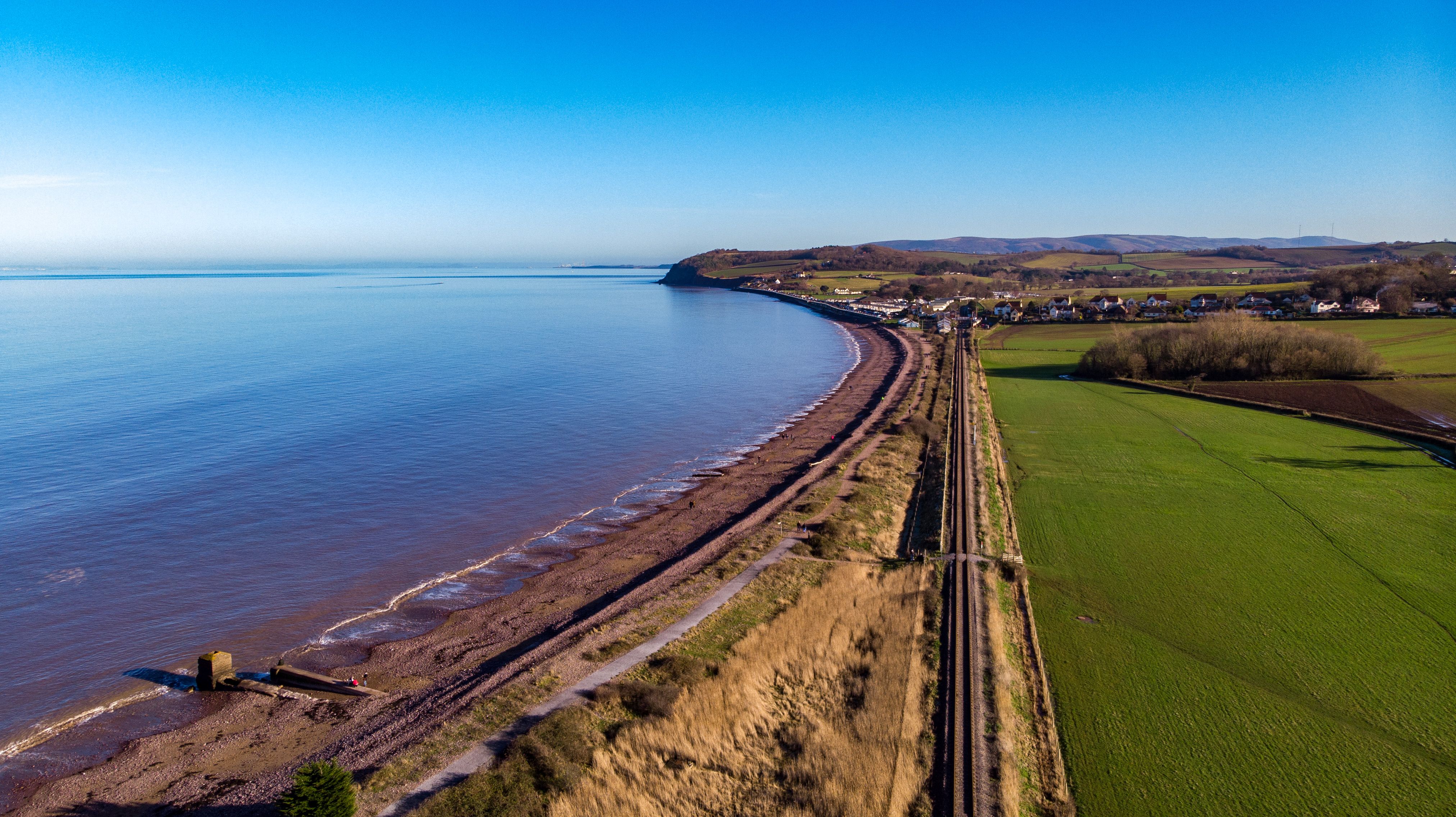 The Largest Marine Reptile In History Has Been Discovered