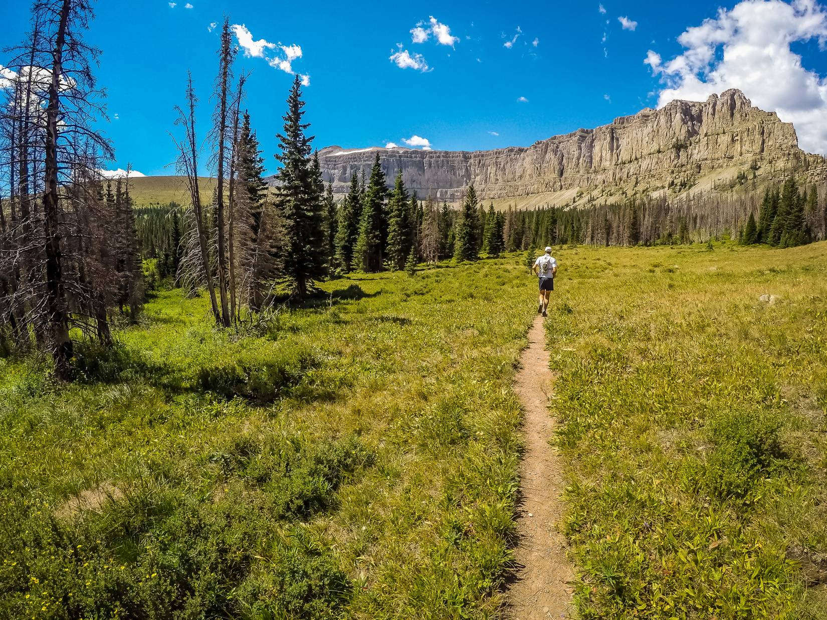 This Montana Park Is A Chill Yellowstone