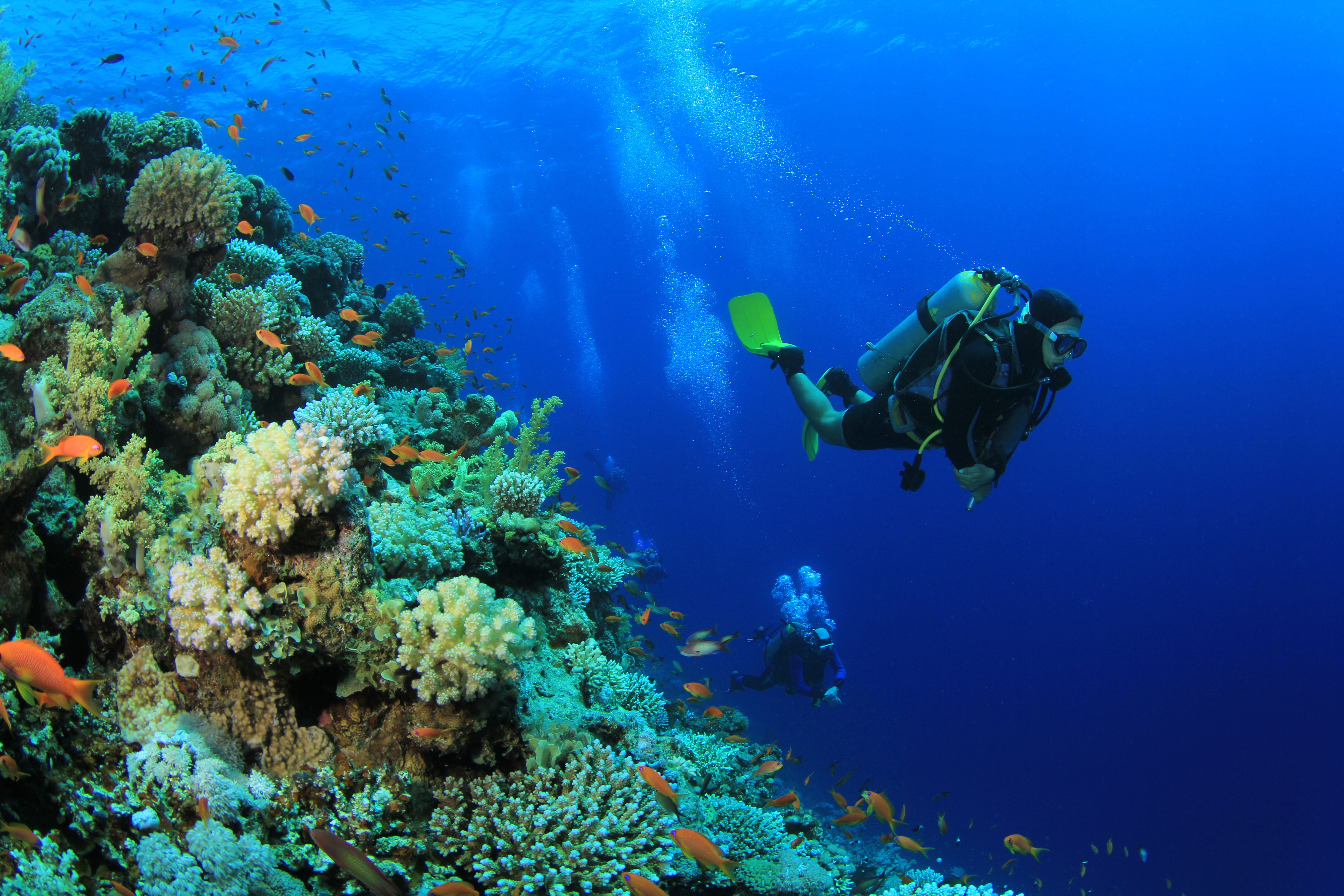 This Continent Is Separating Into Two To Form Earth's Sixth Ocean