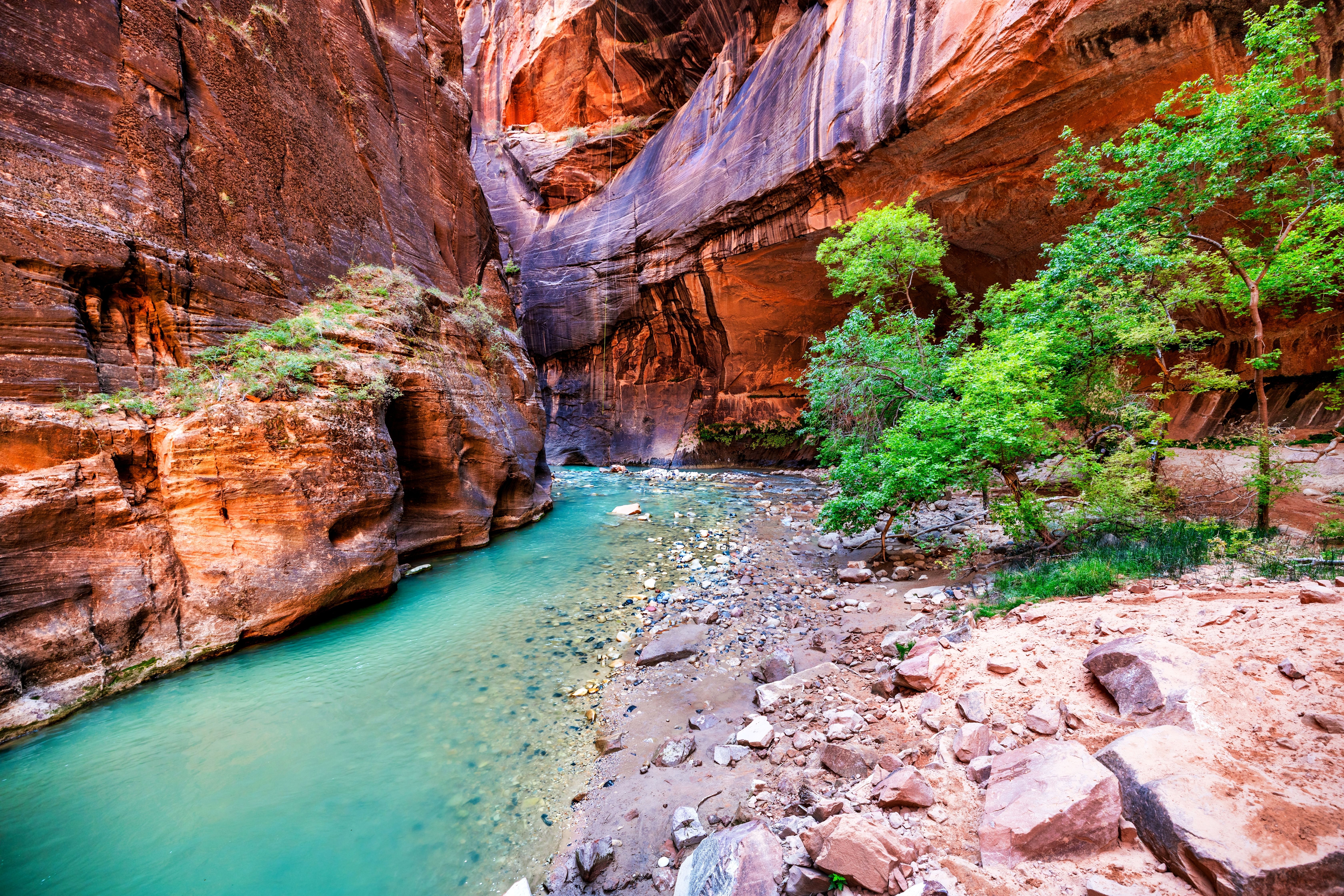 America’s Most Beautiful Hiking Trails to Explore in 2025