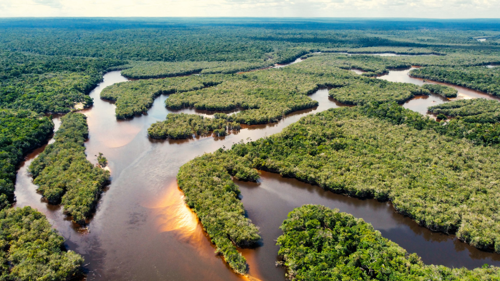 Thousands Of "Stonehenges" Have Been Found In The Amazon Rainforest