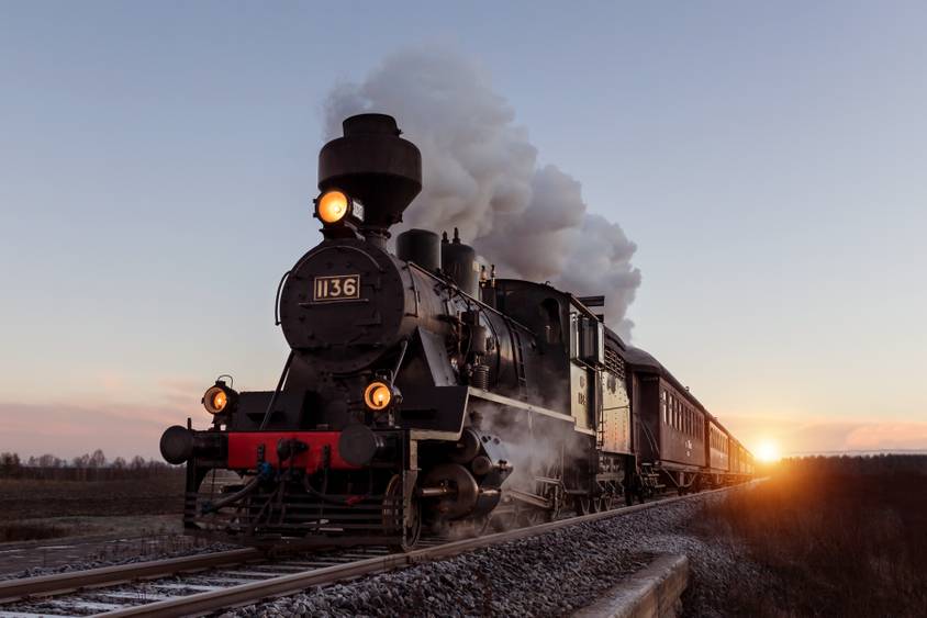 Yosemite National Park Is Home To The World’s Largest Pine Tree