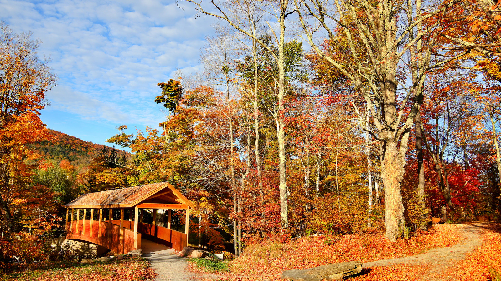 Skip Upstate NY For 8 Small Towns In The Catskills