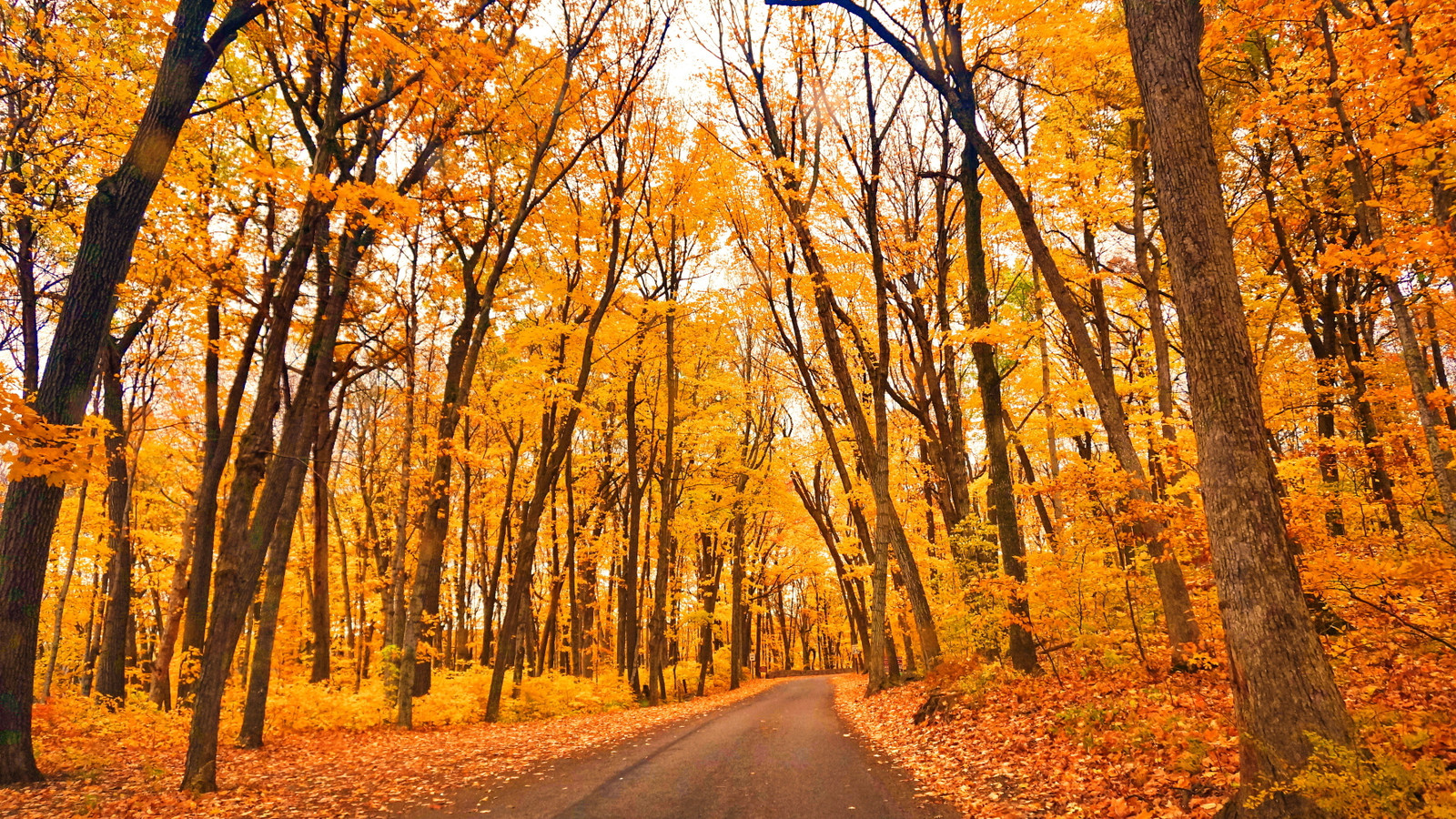 7 Amazing Fall Weekend Vacations To Take Near The Great Lakes This Year