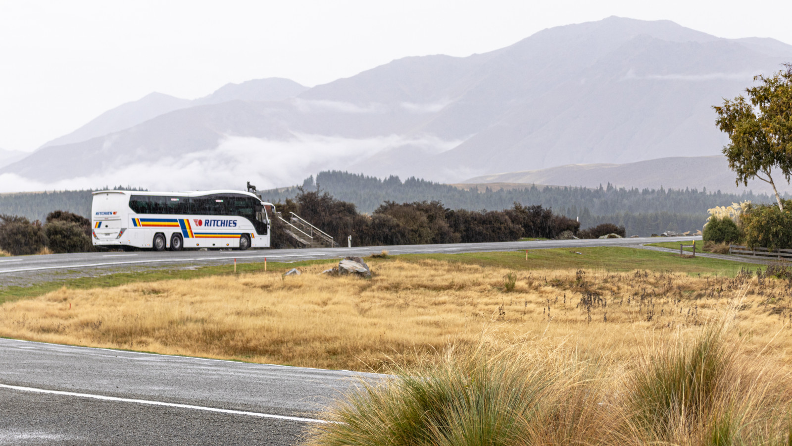 Tourist Bus Crashes in New Zealand Colliding With Two Vehicles: One ...