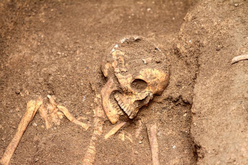 Extremely Rare & Unusual Viking Discovery Has Revealed The World's ...