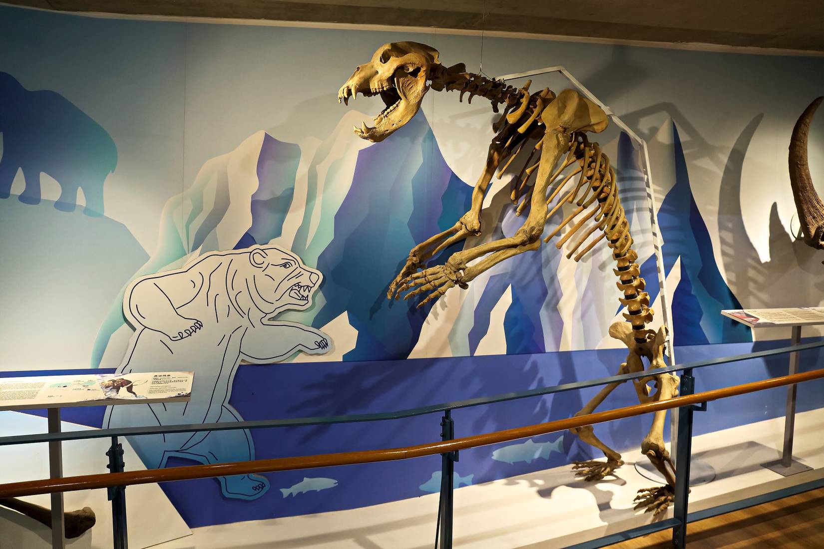 The World's Biggest Bear Ever Recorded Outweighed A Truck