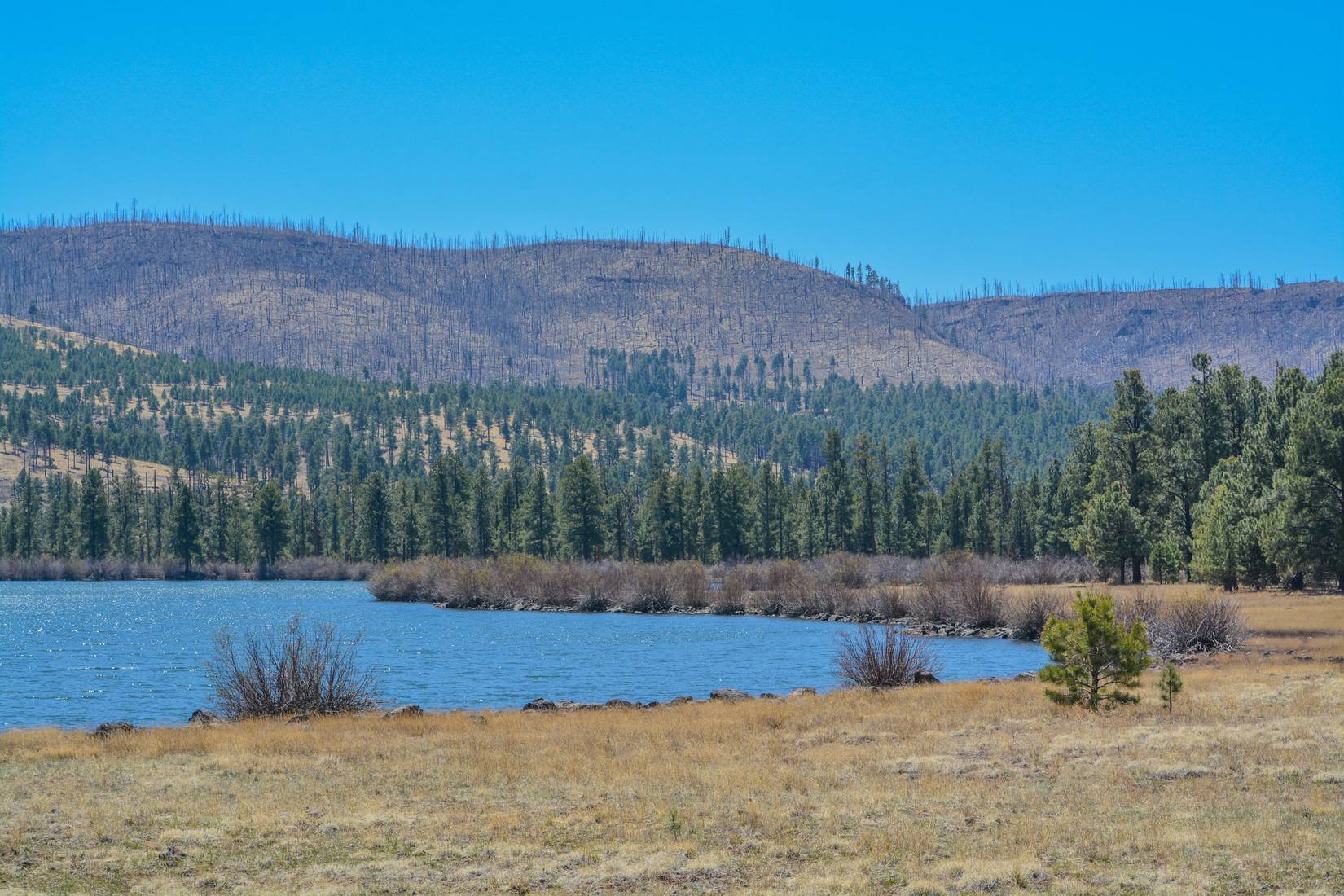 The "Switzerland" Of Arizona Is America's Most Underrated Ski Resort