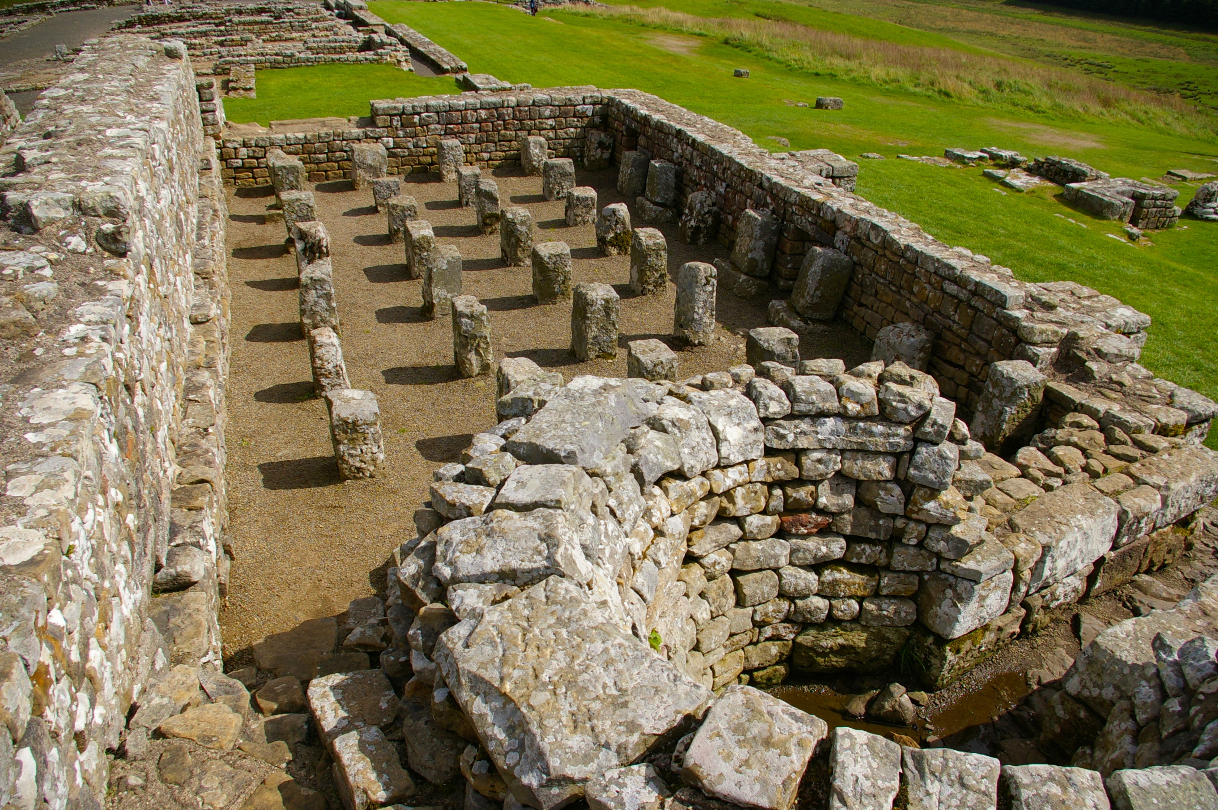 Why The Sacred Chickens Decided Ancient Rome's Most Important Matters