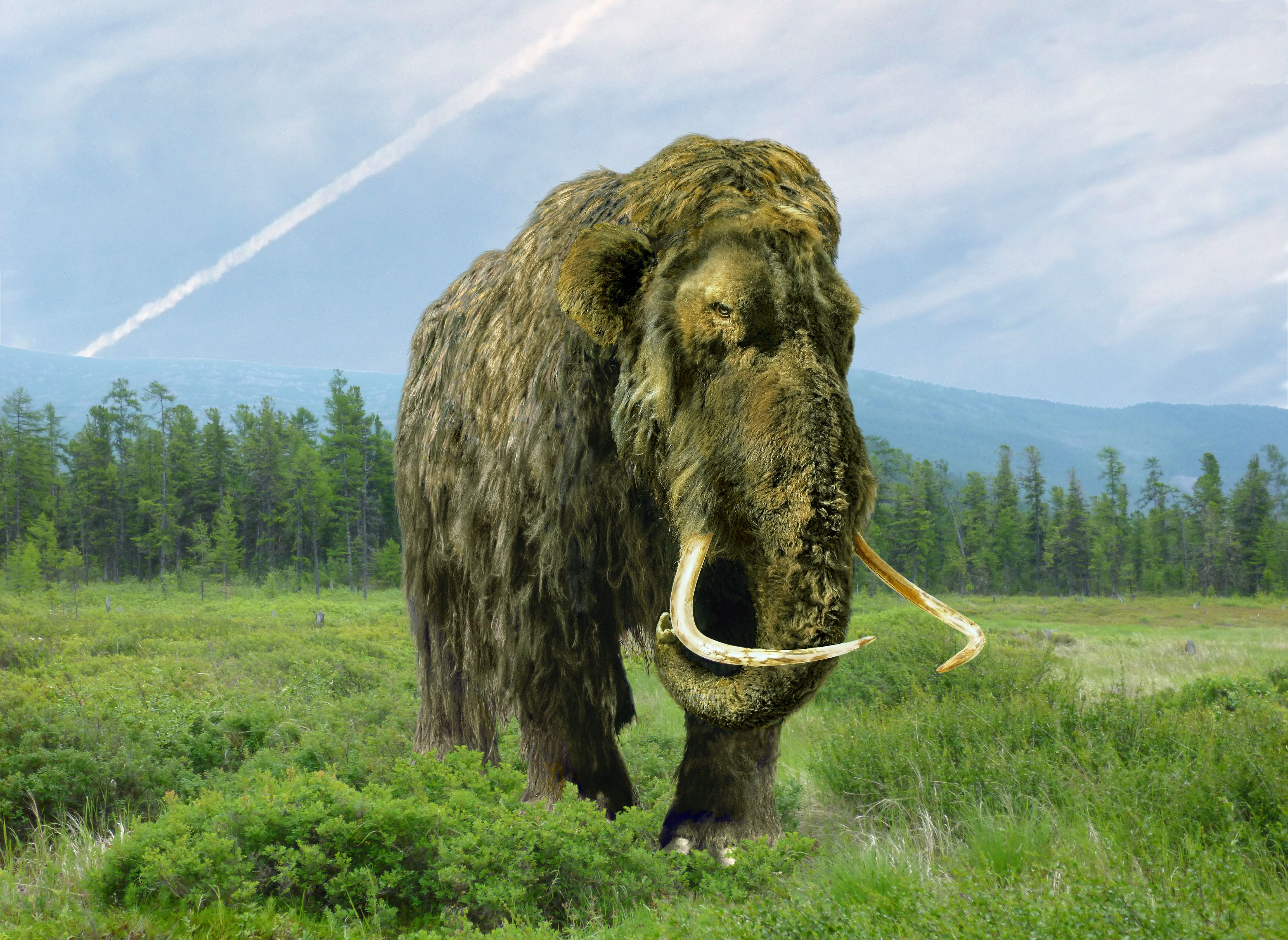 Extinct For Over 4,000 Years, Scientists Are Inching Closer To Bringing ...