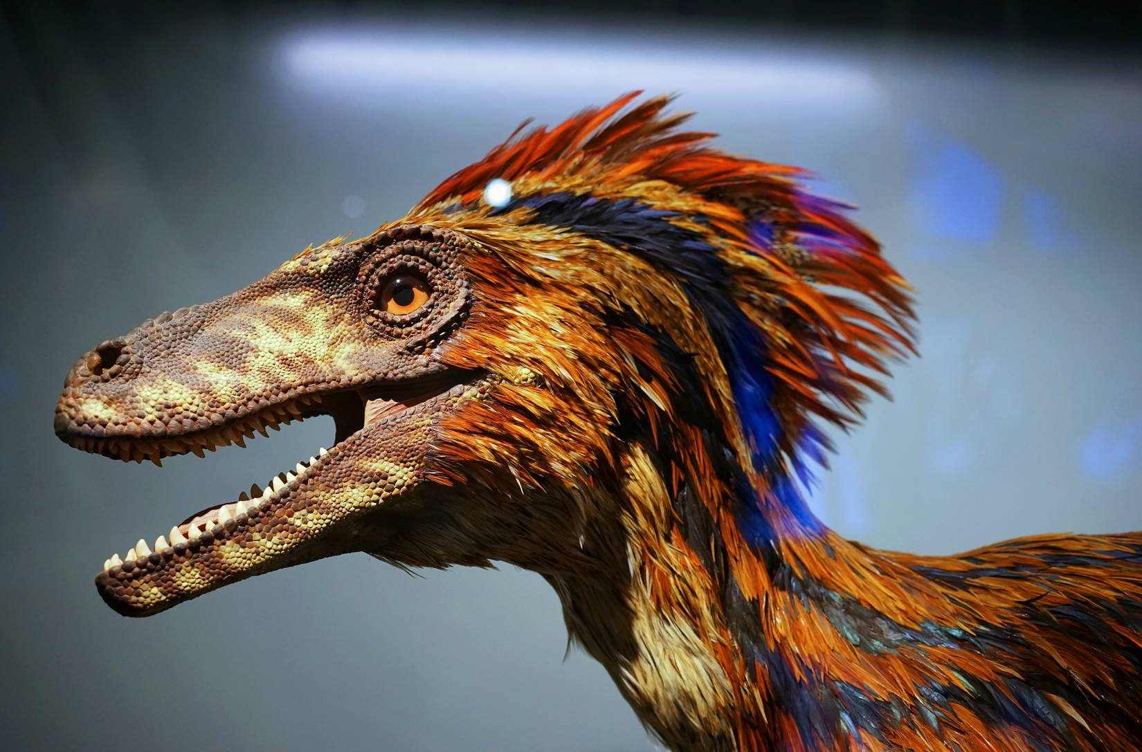 10 Myths About Dinosaurs You Need To Stop Believing