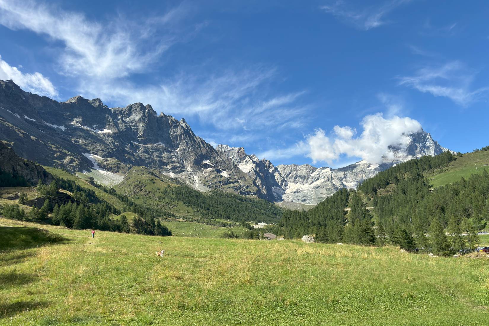 Hiker Discovers 280 Million-Year-Old Prehistoric Ecosystem While ...