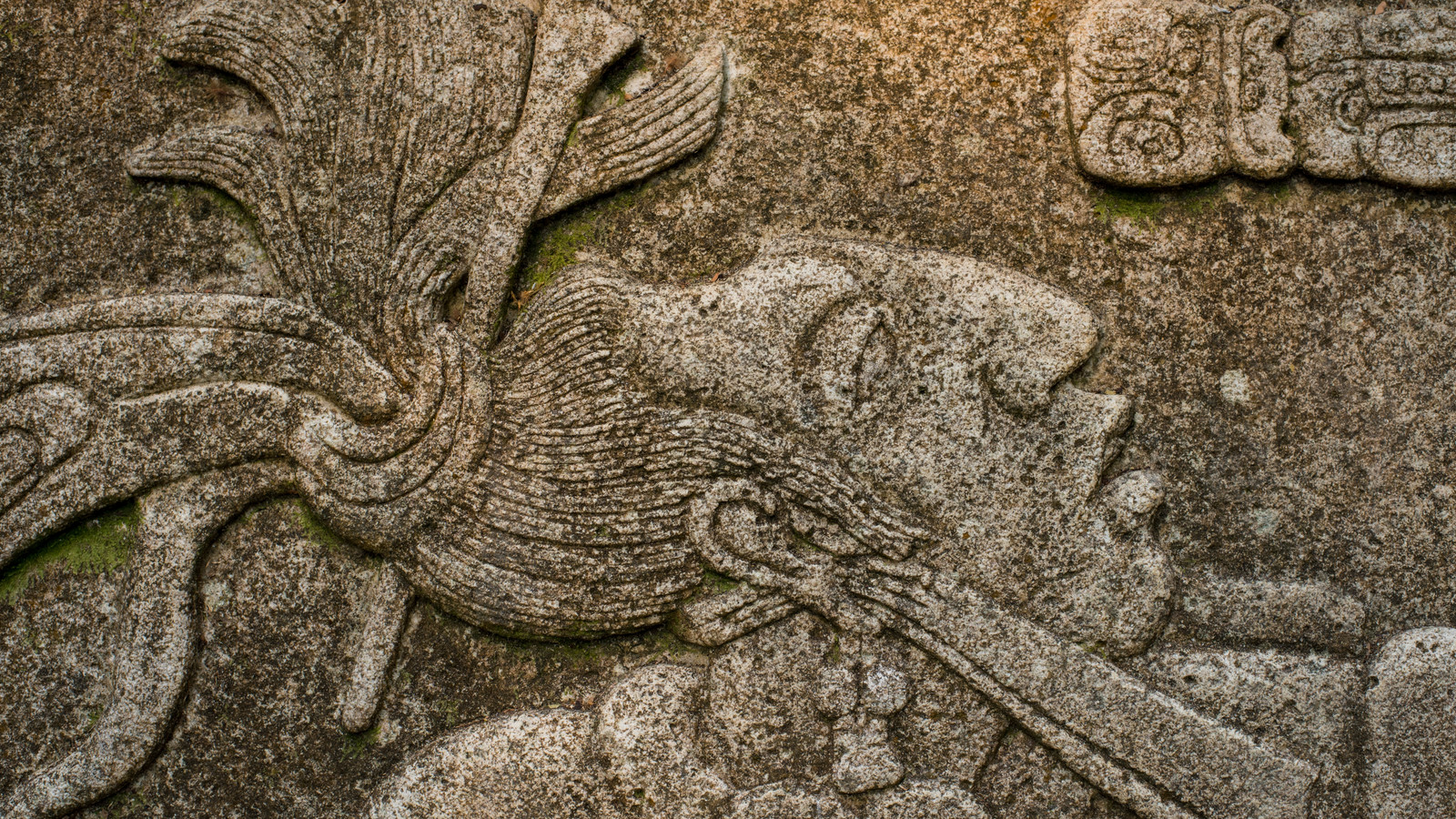 Archaeologists Discover 4,000-Year-Old Canals Used by the Mayans in ...