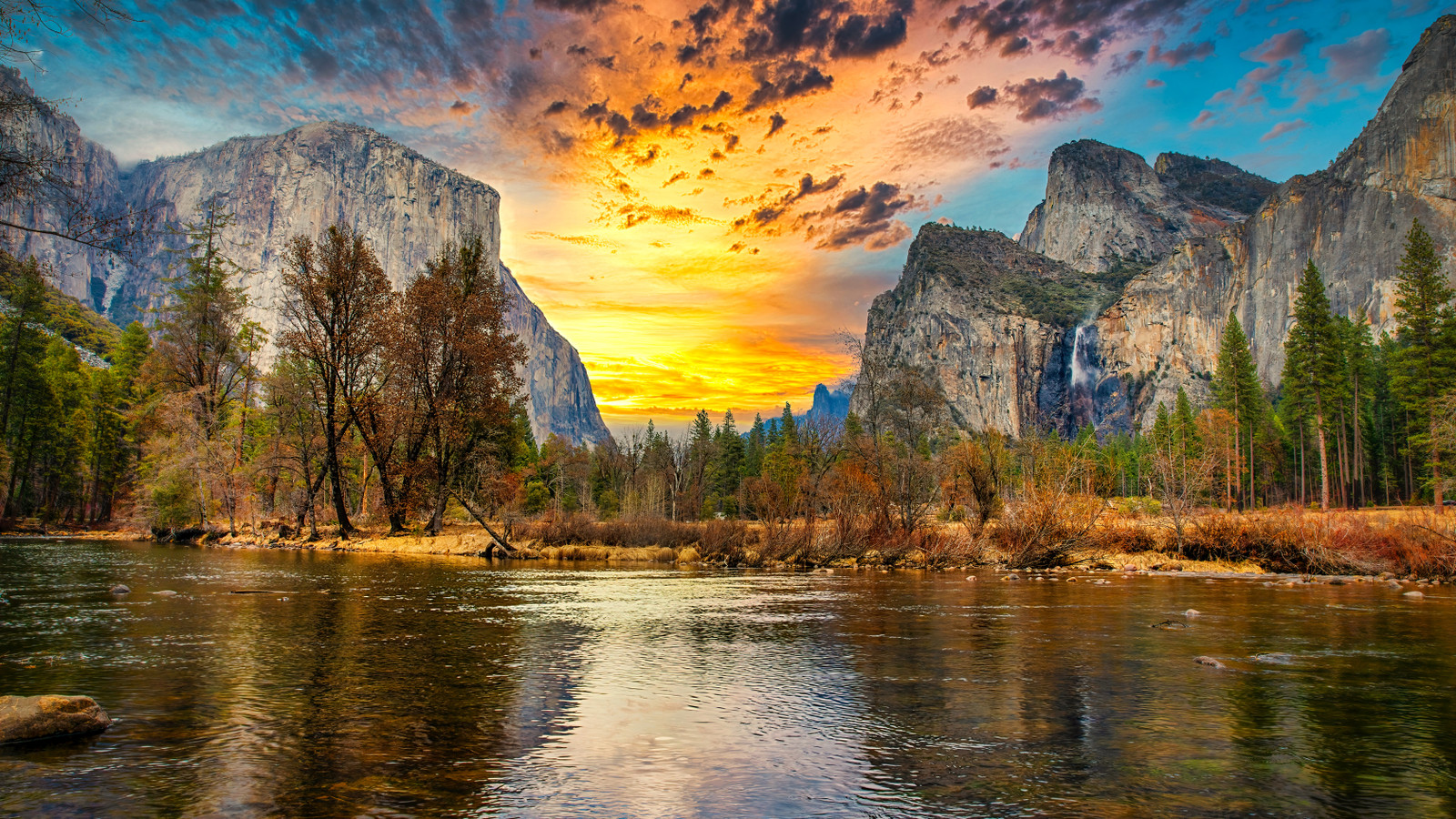 Yosemite National Park Is Home To The World’s Largest Pine Tree