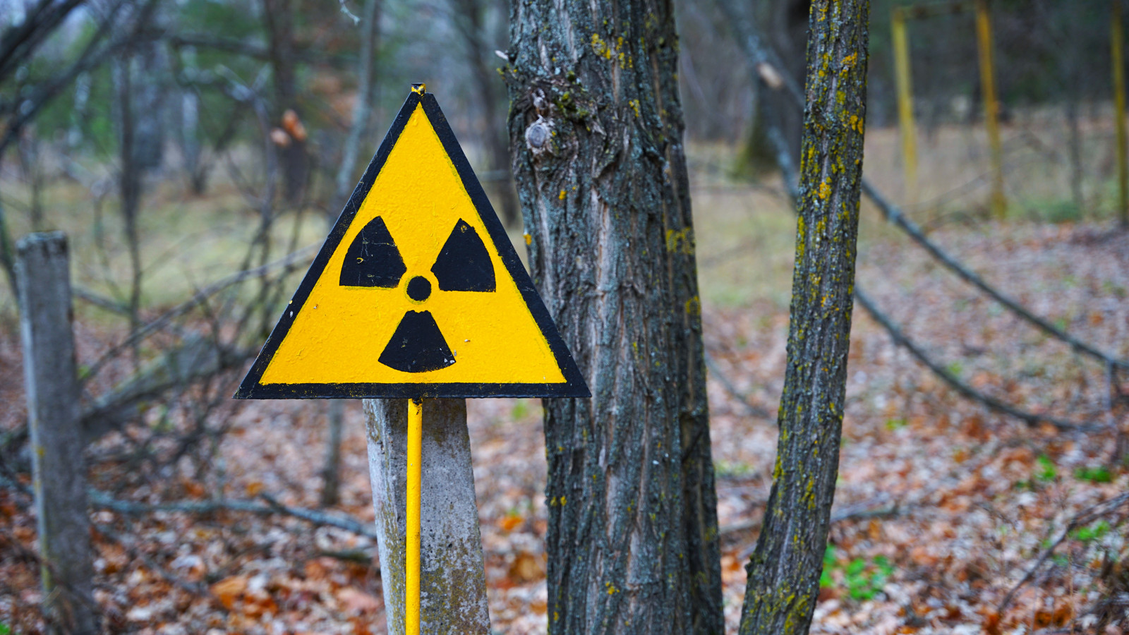 Worrying Nuclear Radiation Map Shows Where The Most People Would Die In ...