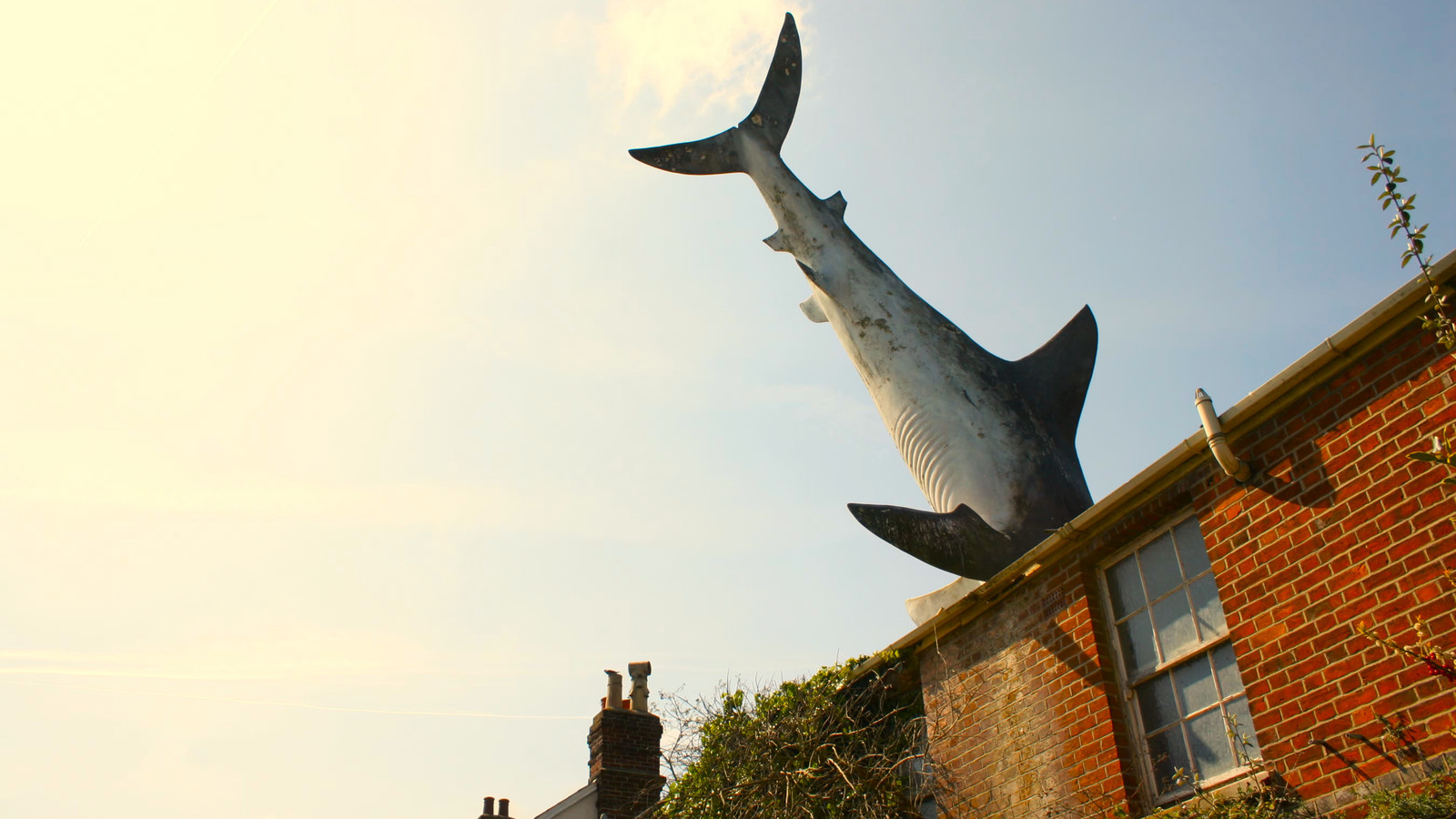 This Bizarre Airbnb Has A Shark On The Roof, But Not For Long