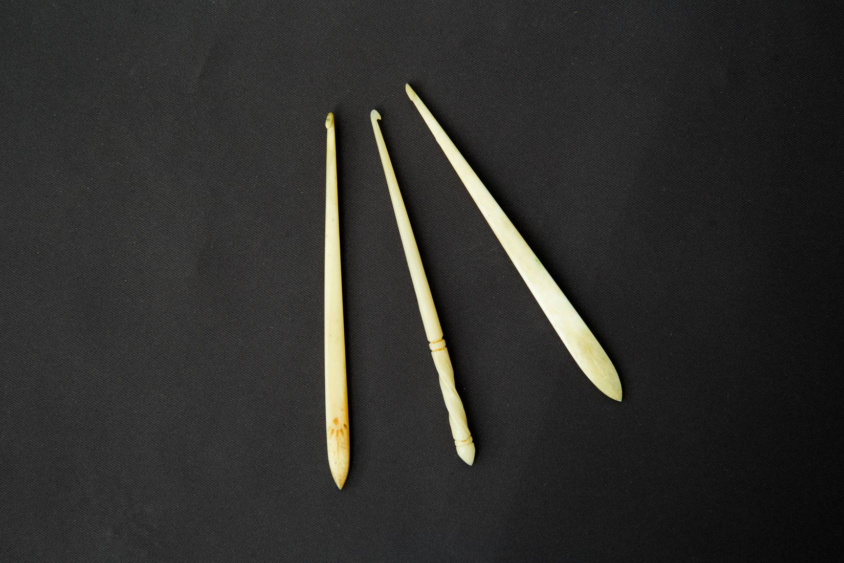 Wyoming Discovery Unlocks Secret To How Earliest Americans Survived The ...