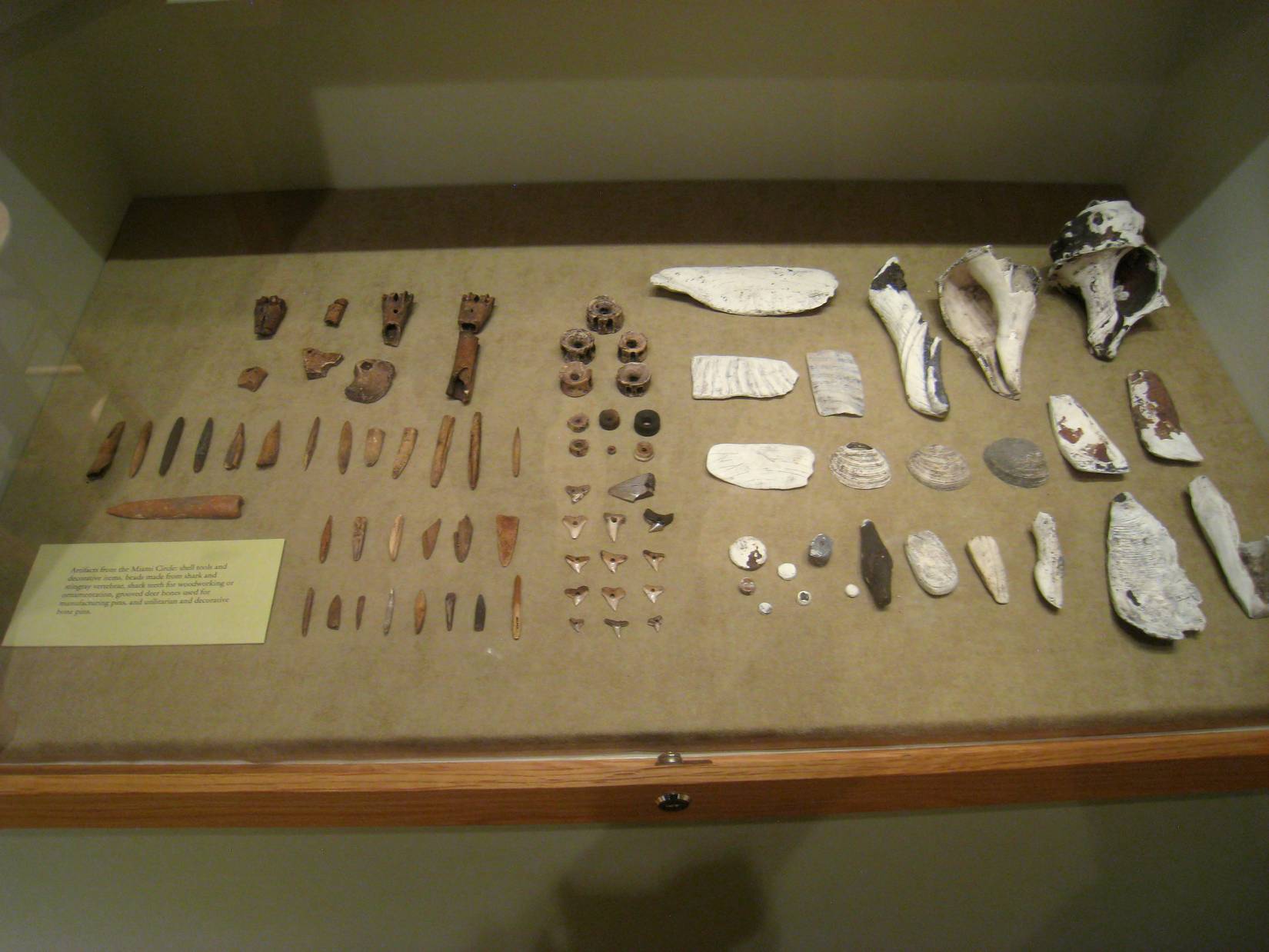 One Of America's Most Mysterious Ancient Sites Was Found In Downtown Miami