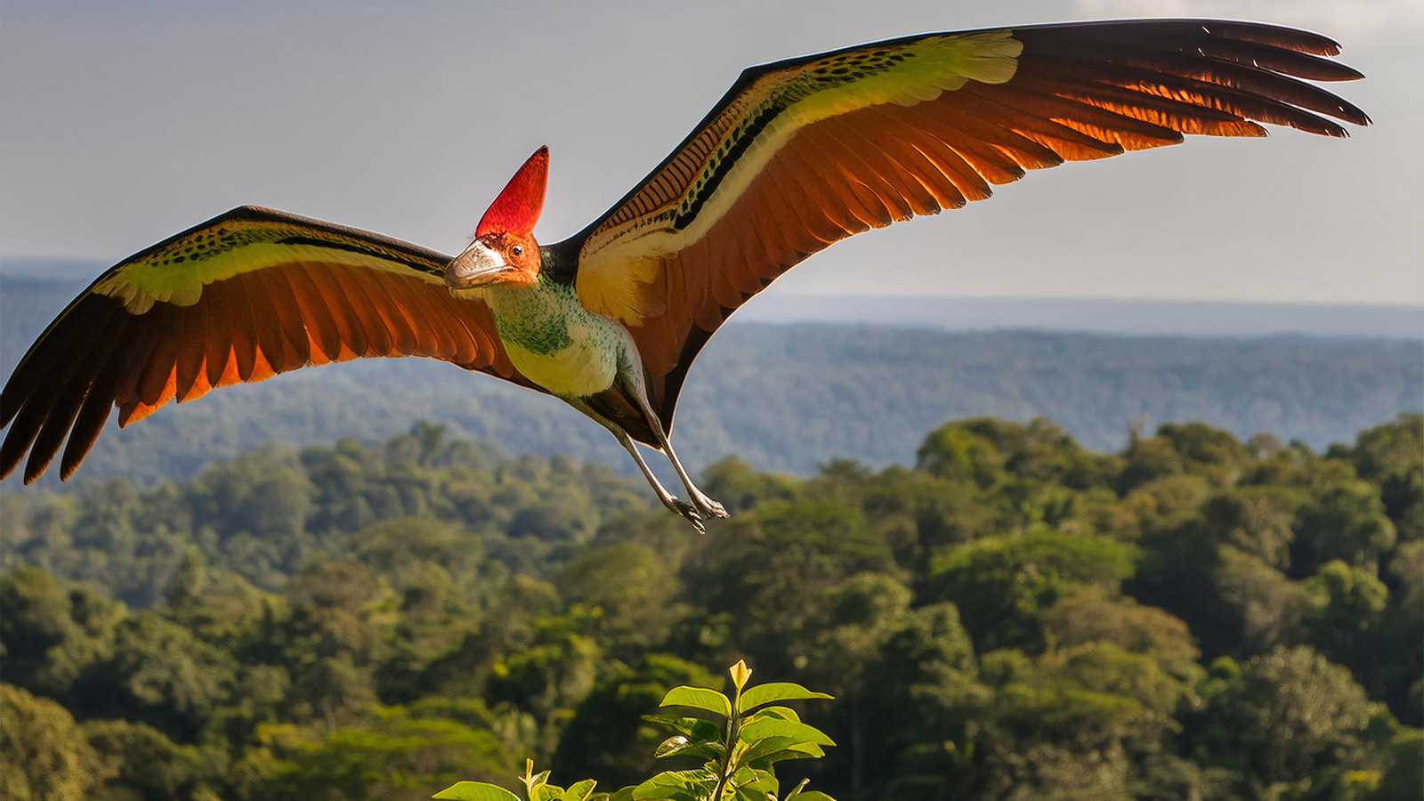 The Mystery Of Flying Dinosaurs Has Finally Been Solved