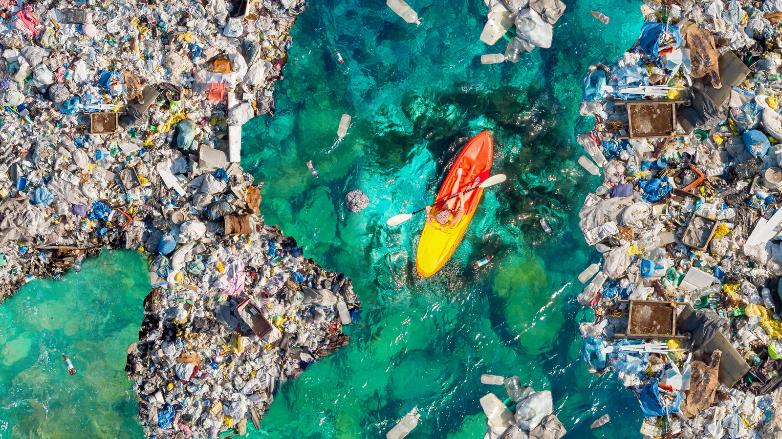 Discovery Of Plastic-Eating Insect Could Help Combat World Waste