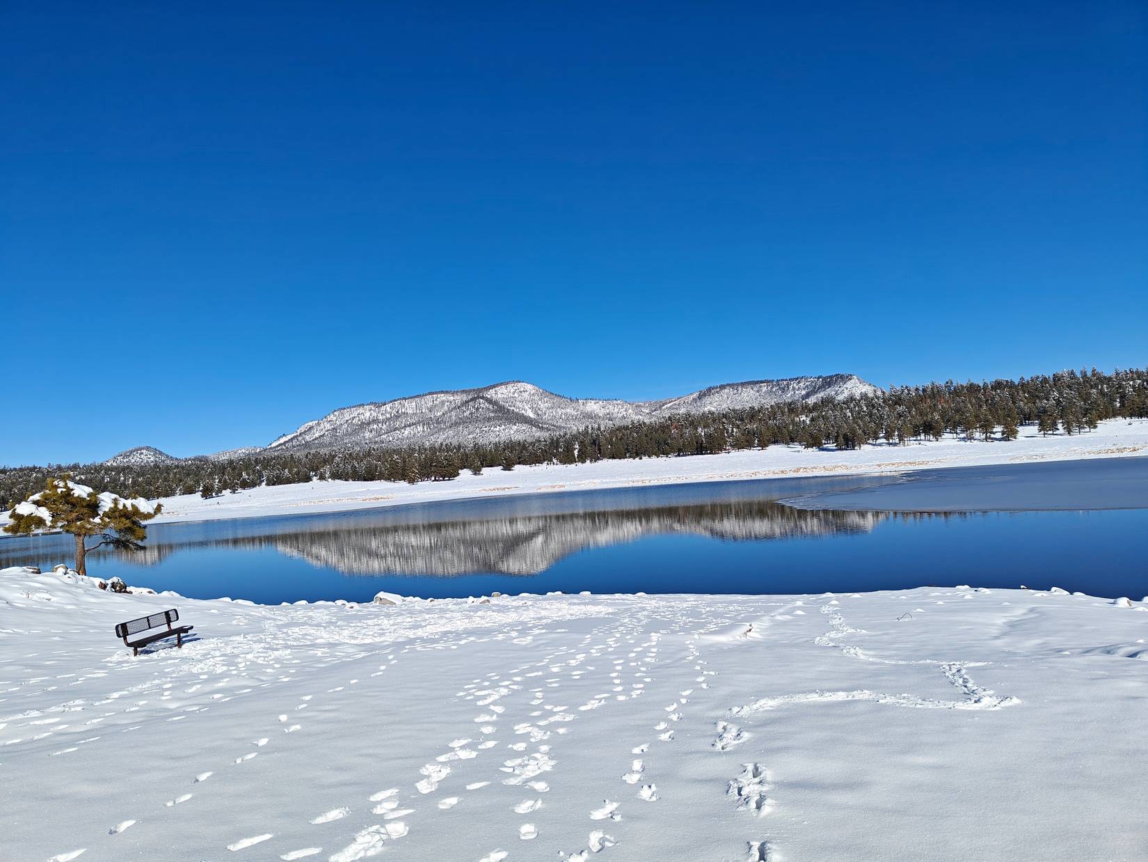 The "Swiss Alps Of Arizona" Is Home To The State's Most Underrated ...