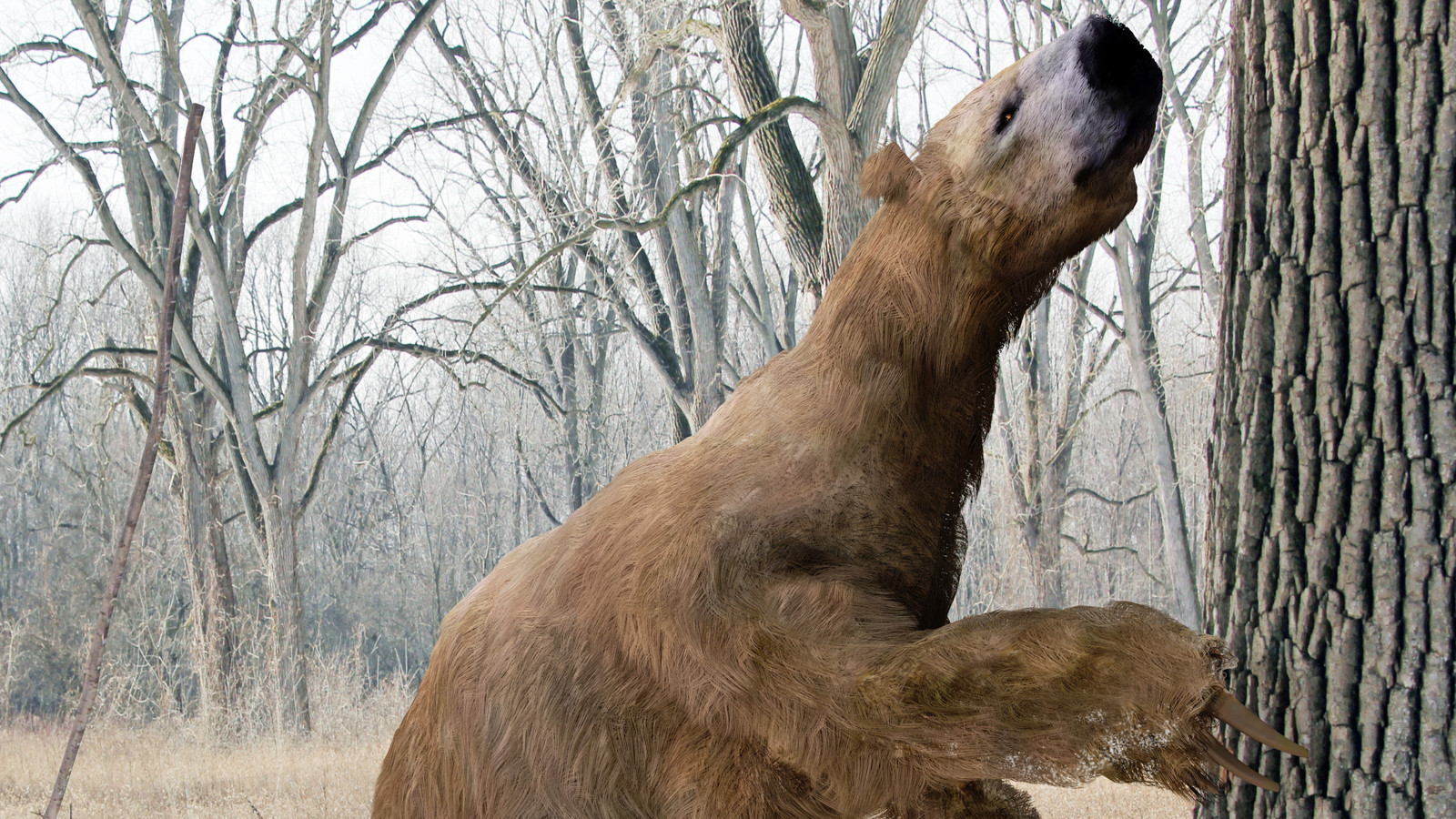 Mastodons, Giant Sloths, And Ancient Humans Coexisted For A Millennia ...