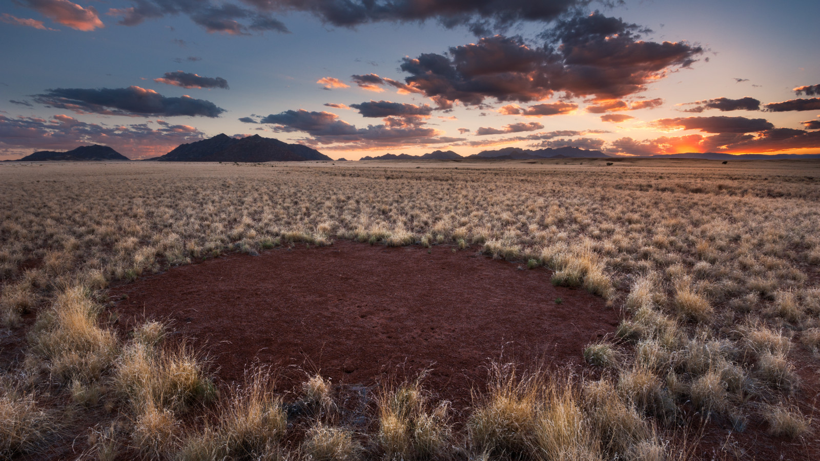 10 Strangest Discoveries Found In The Deserts Of The World