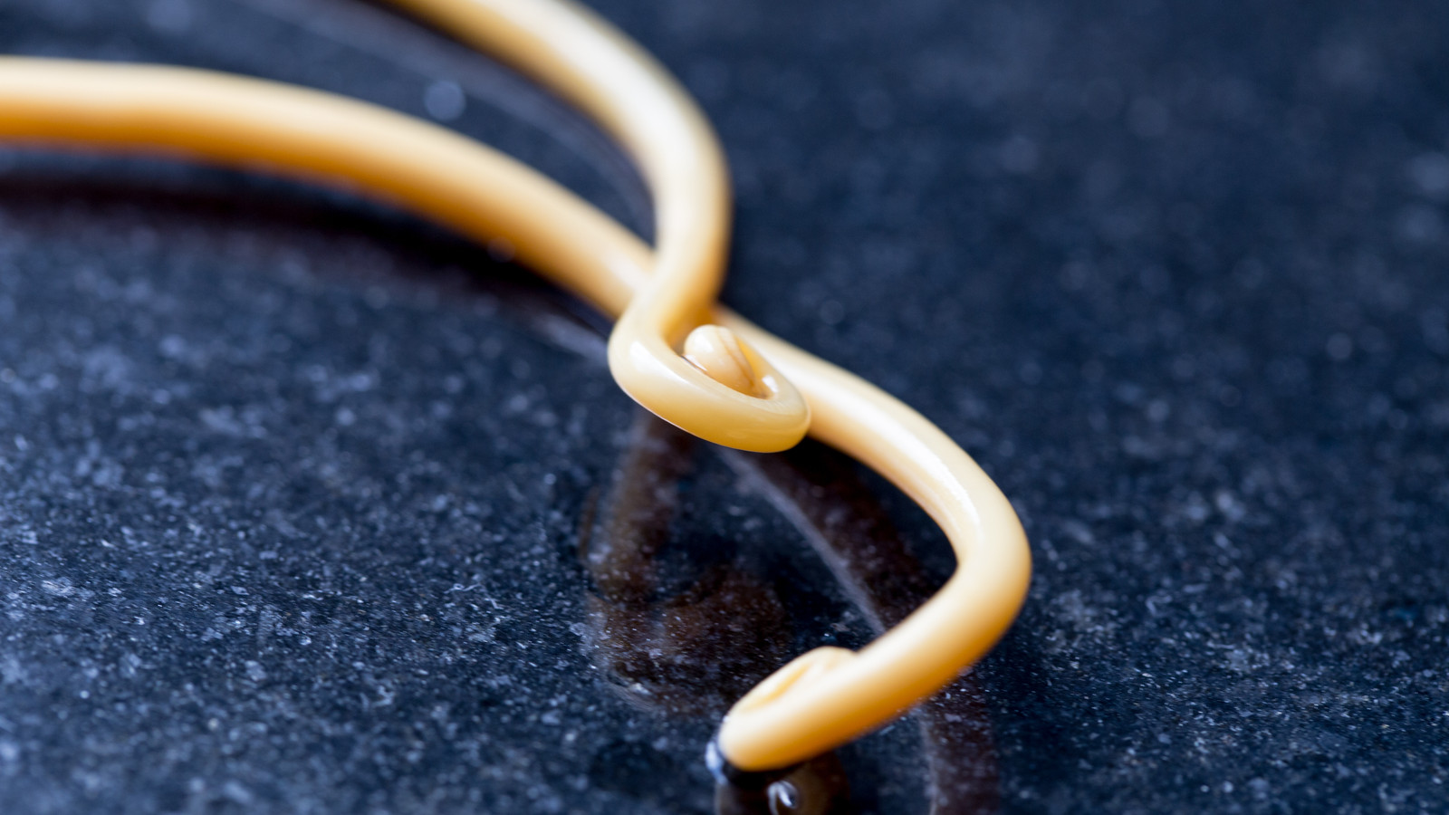 10 Most Terrifying Parasites That Can Infect Humans