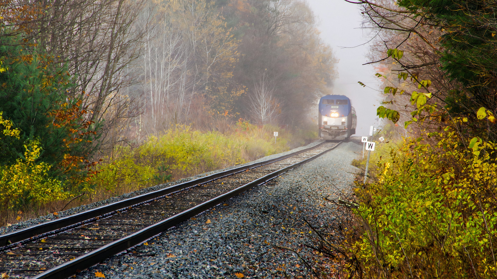 How To Book $30 Amtrak Deals In January
