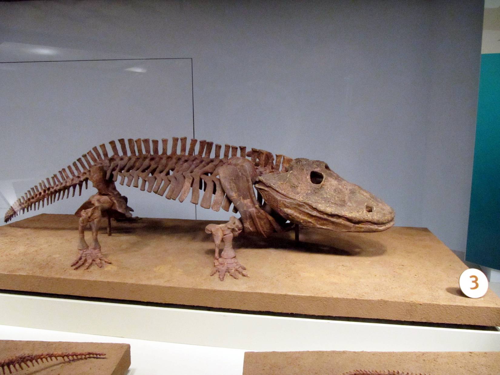 Prehistoric Tombs With Strange Animal Skulls Have Been Found In This State