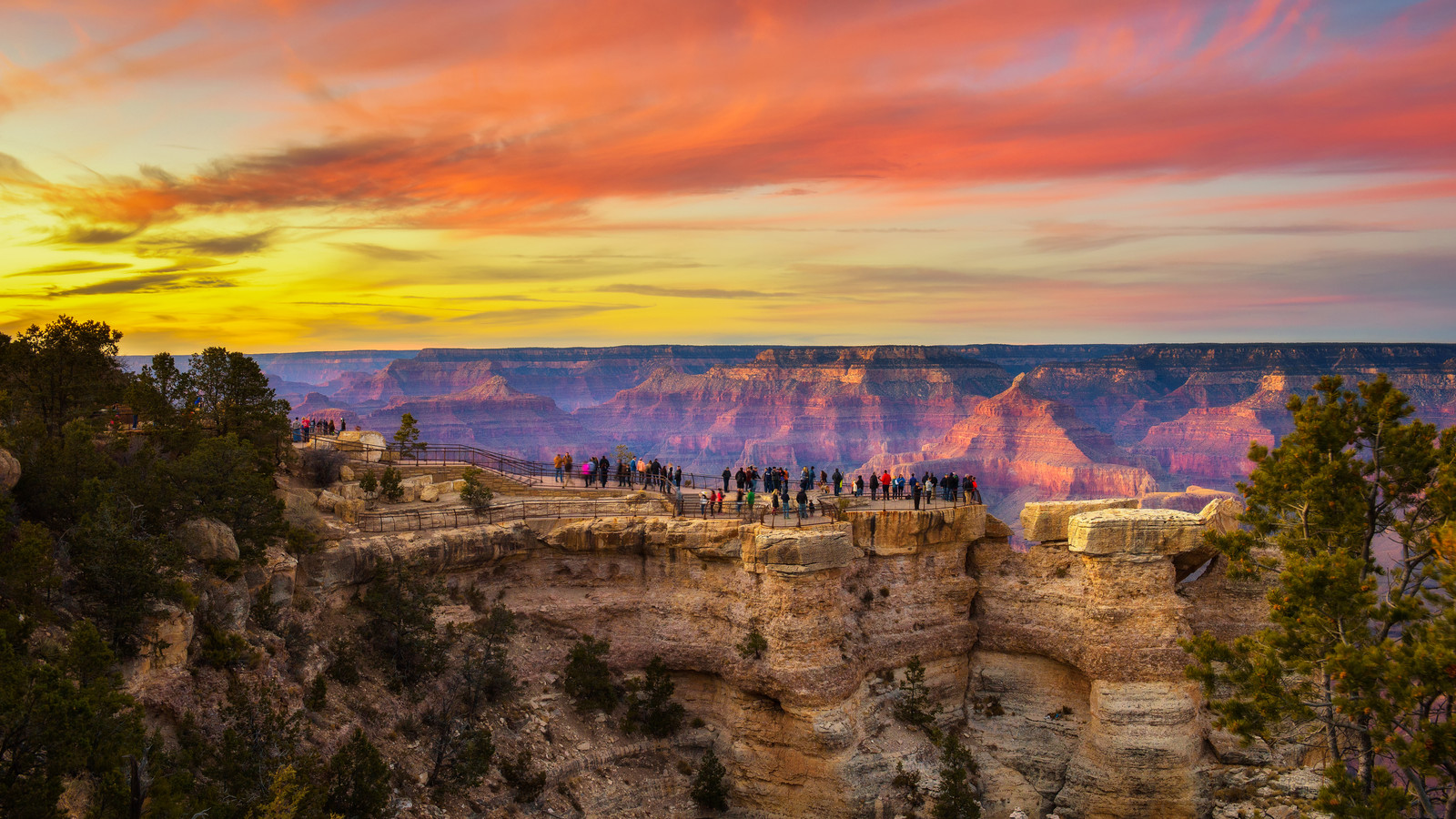 Before Booking The Grand Canyon For Spring Break, Avoid These Crucial ...