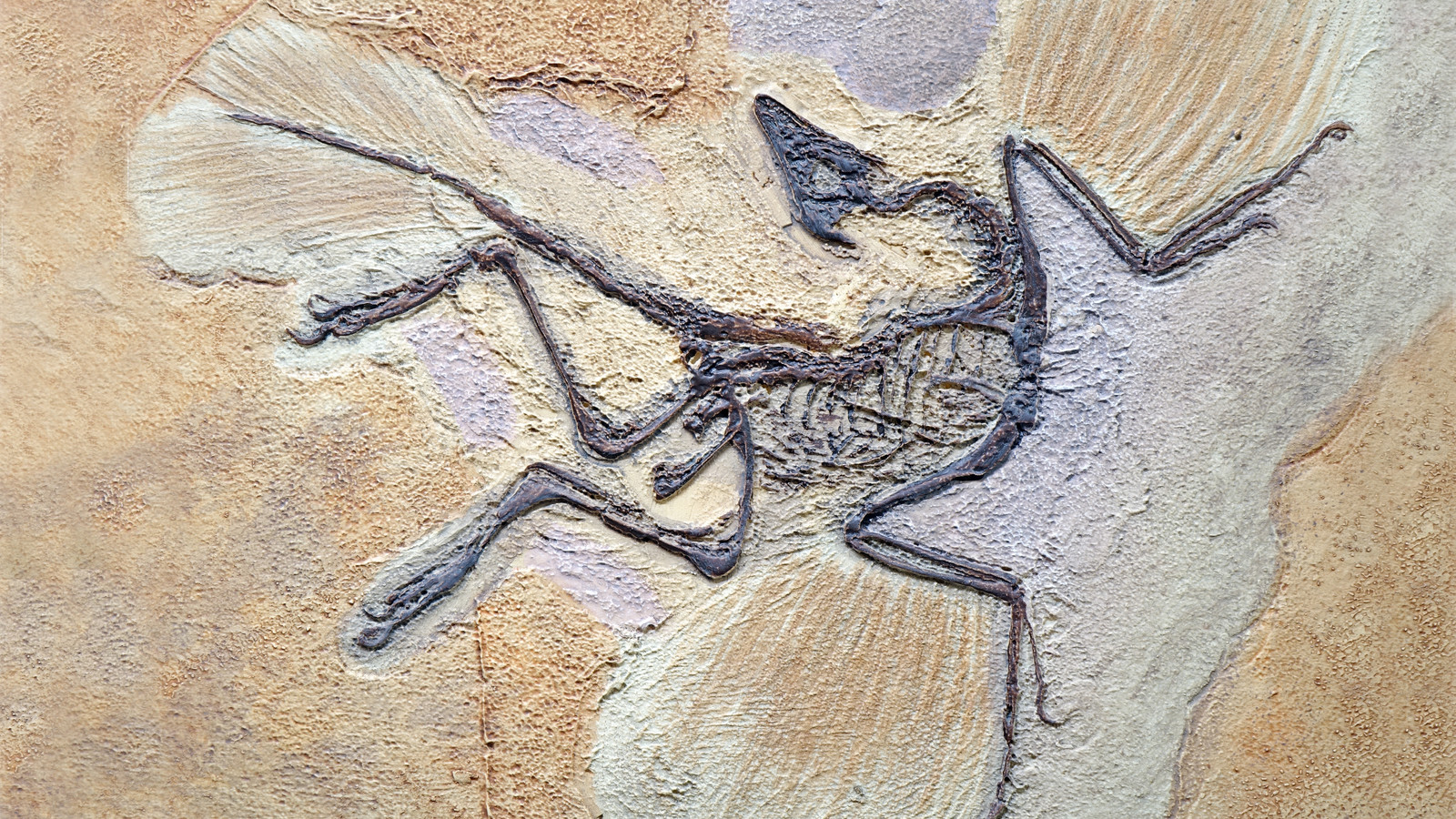 Even National Geographic Was Fooled By This Fake Creature Discovery ...