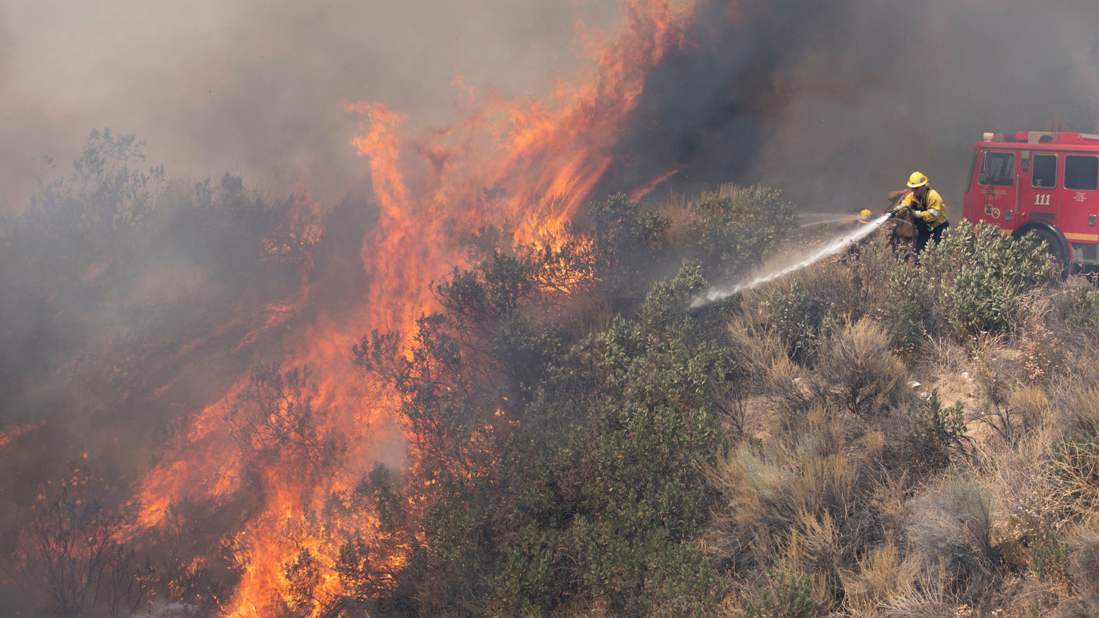 Visual Evidence Suggests NYE Wildfire May Be Cause Of Palisades Fire