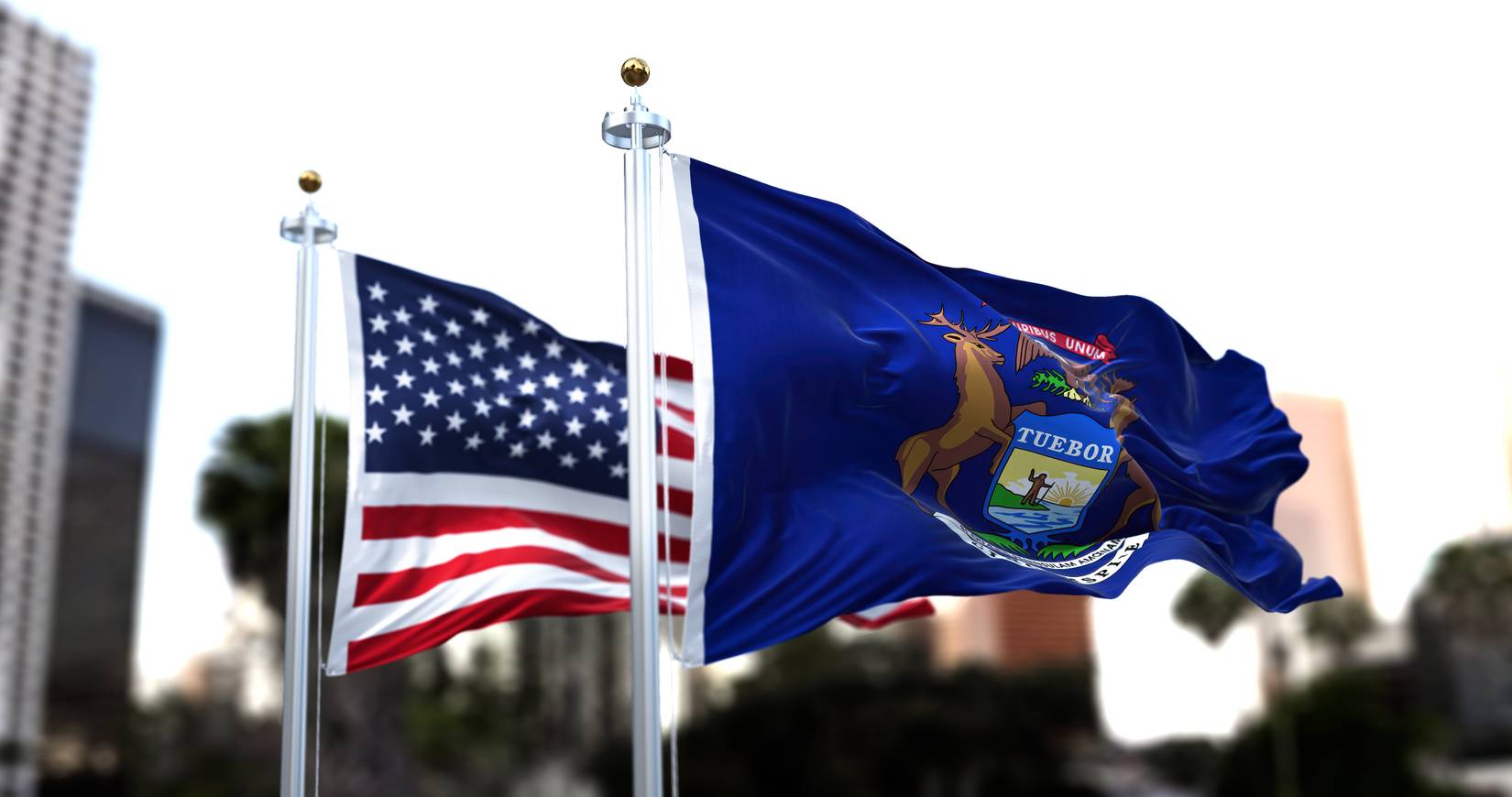 Michigan - Flags & Symbols | TheTravel
