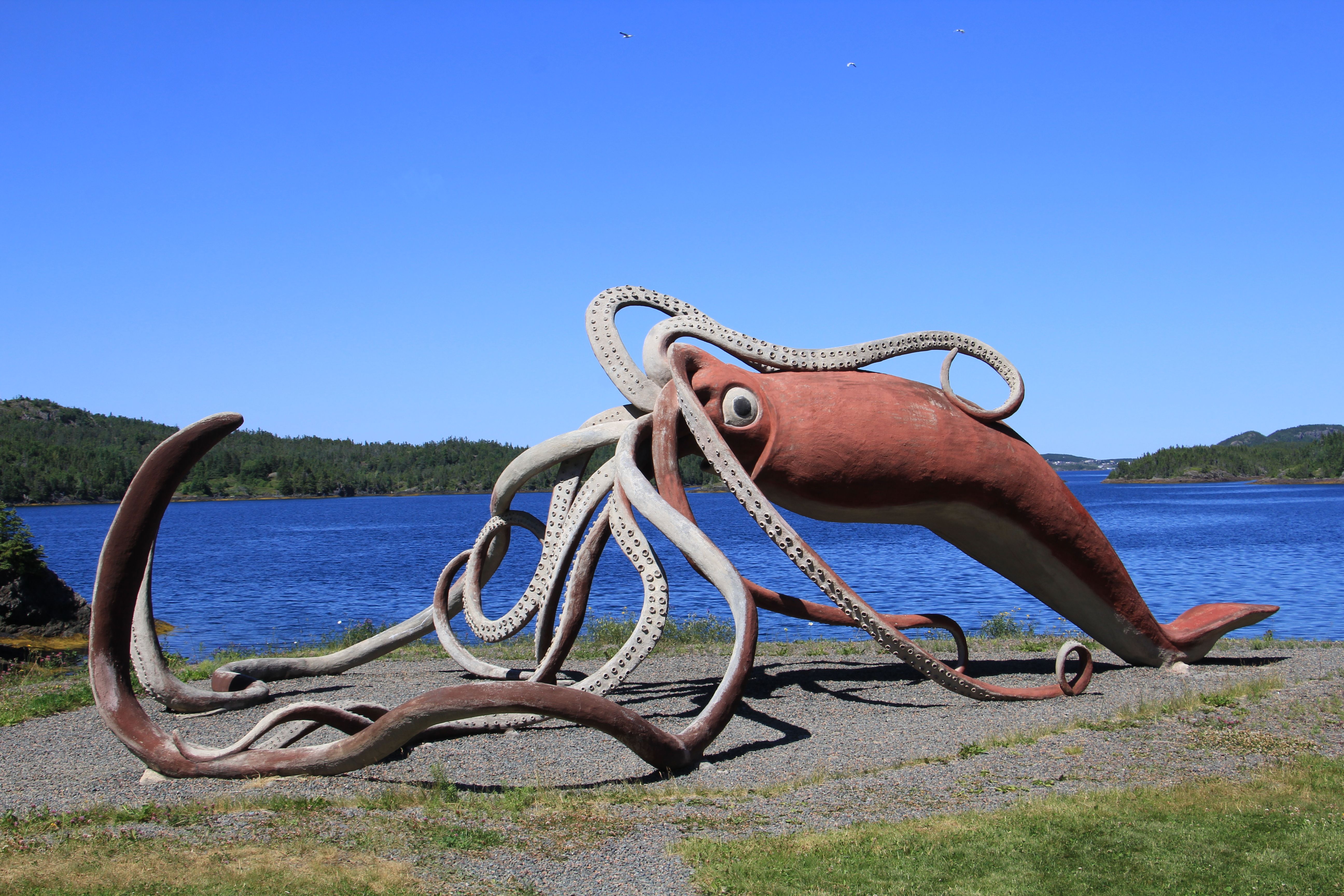 The Real Kraken Monster Is Found Off These U.S. Coasts