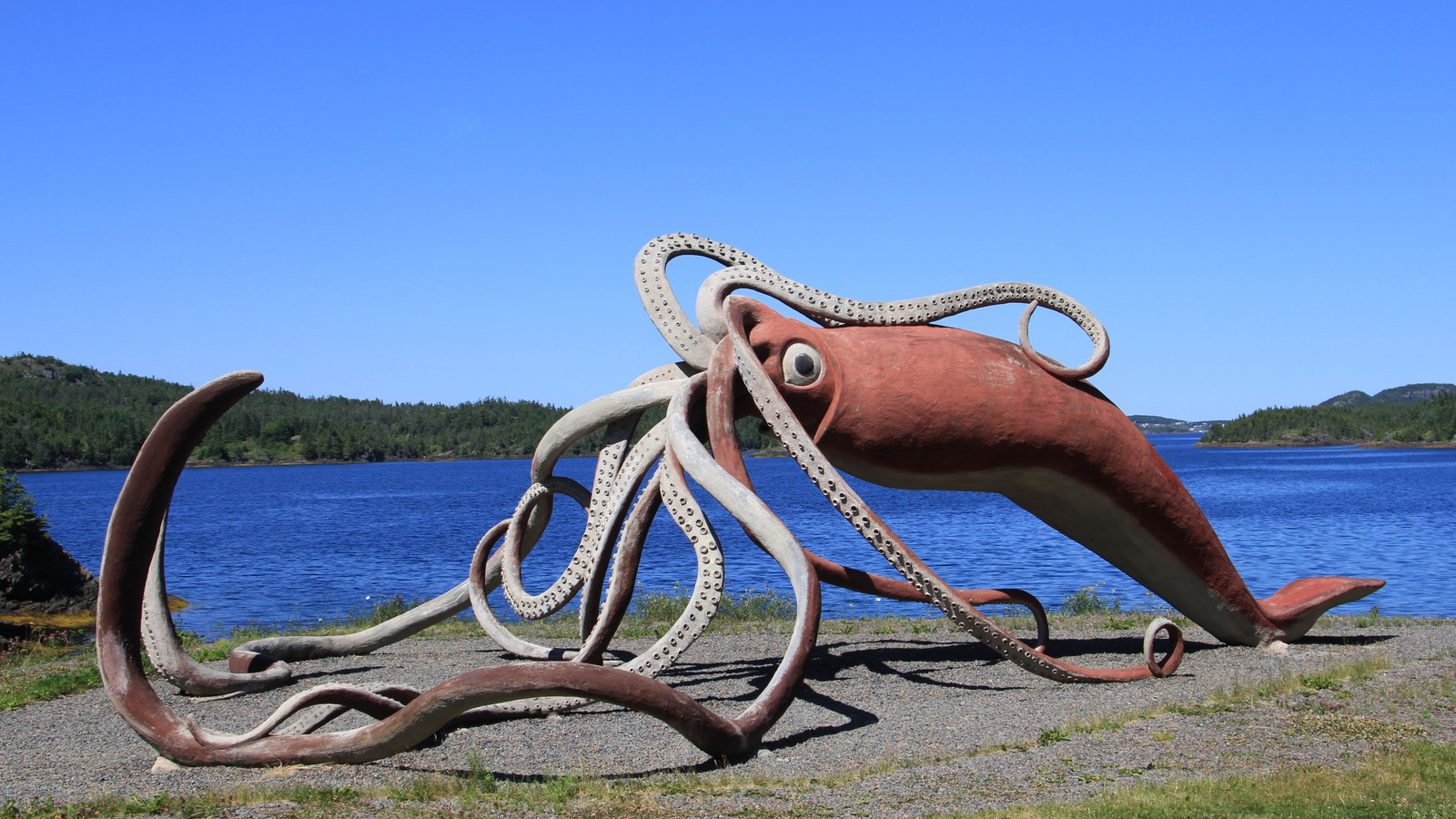 Thimble Tickle: Home Of The Giant Squid (And A Quaint Fishing Village)