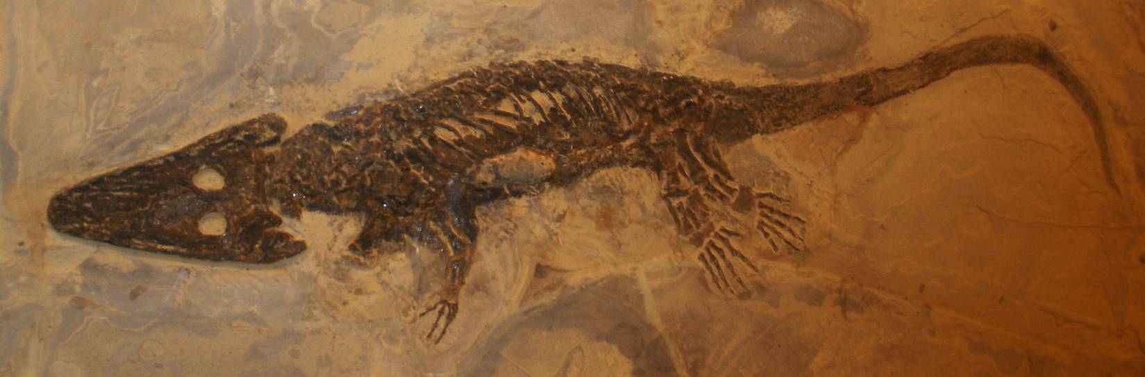 Prehistoric Tombs With Strange Animal Skulls Have Been Found In This State