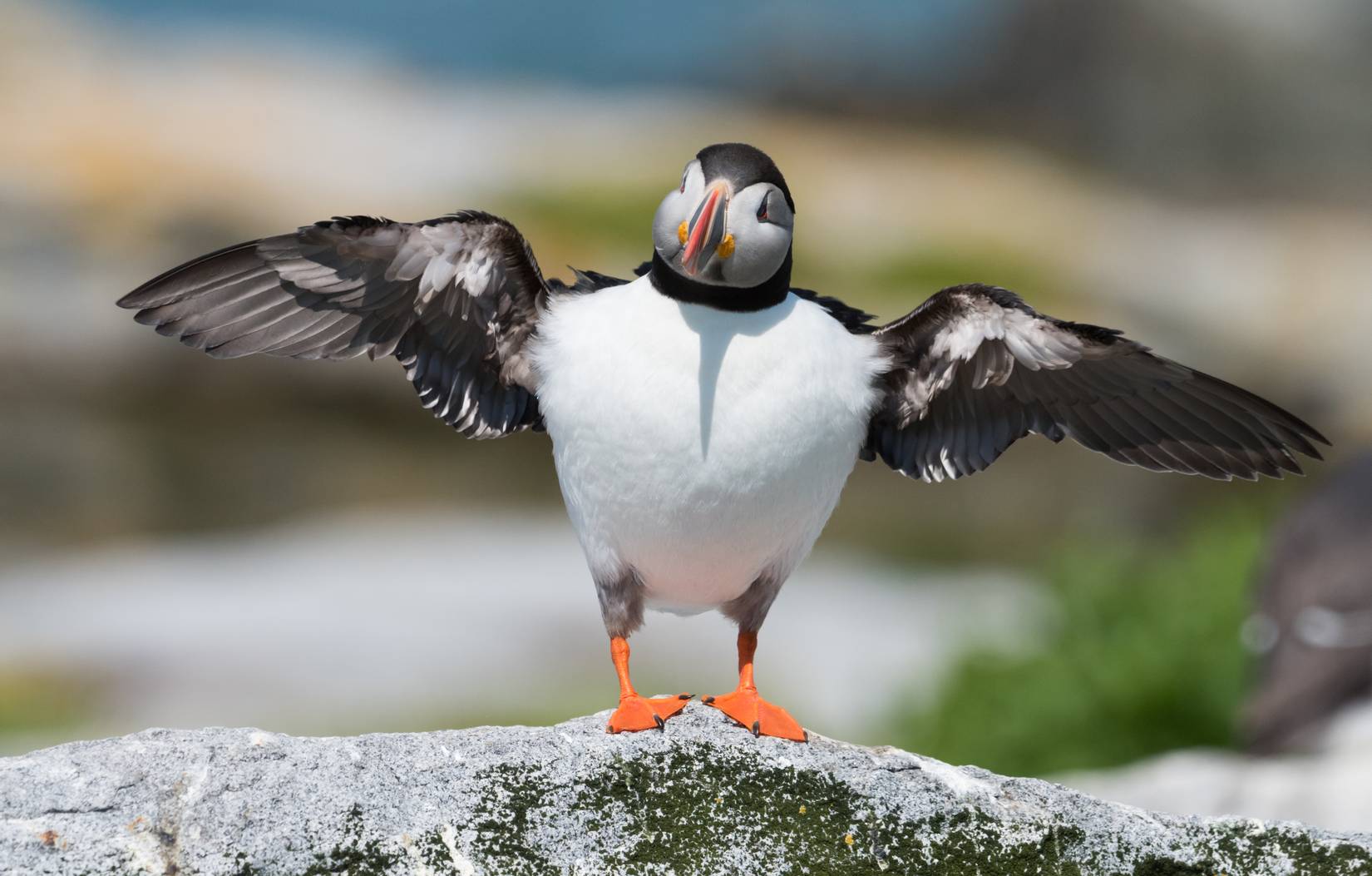 Canadian Senator Pushes Back After U.S. Tour Group Claims Disputed ...